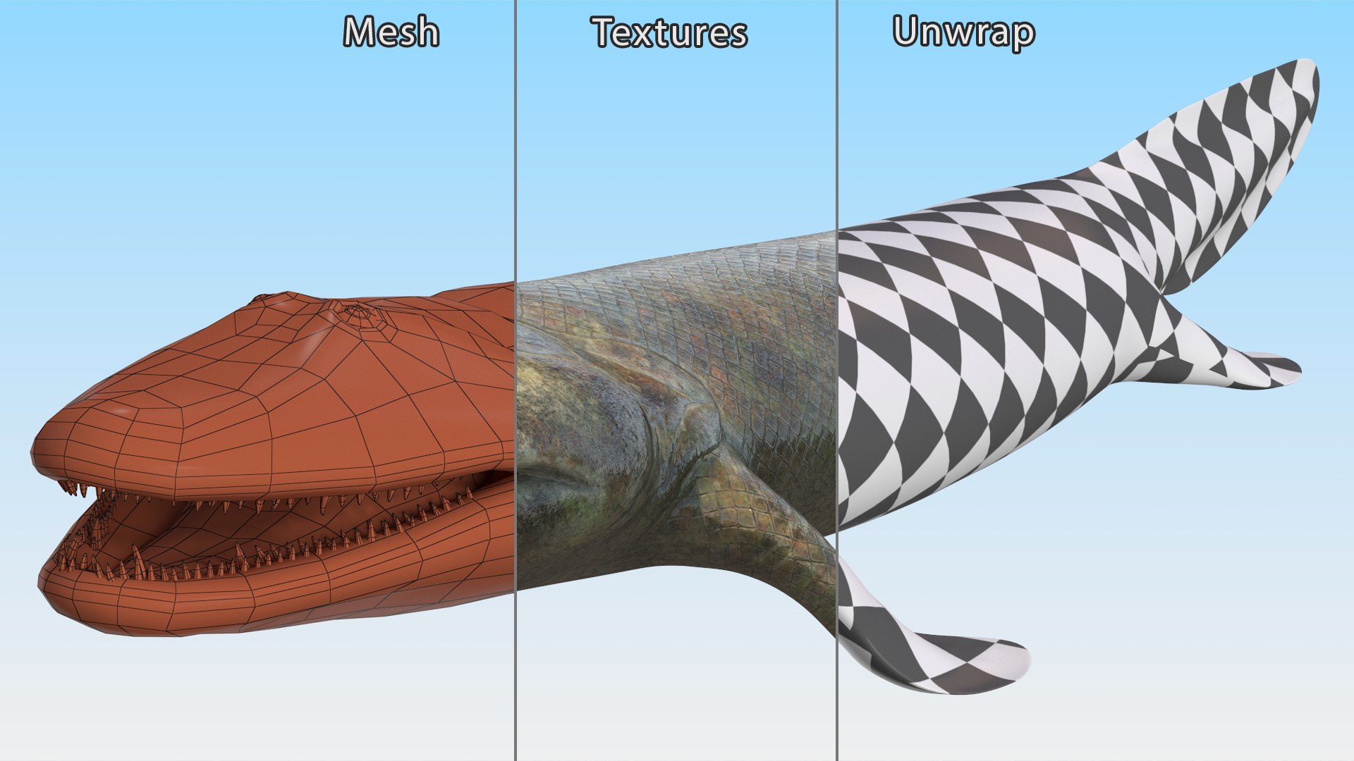 Tiktaalik Extinct Sarcopterygian 3D Model - TurboSquid 2318269