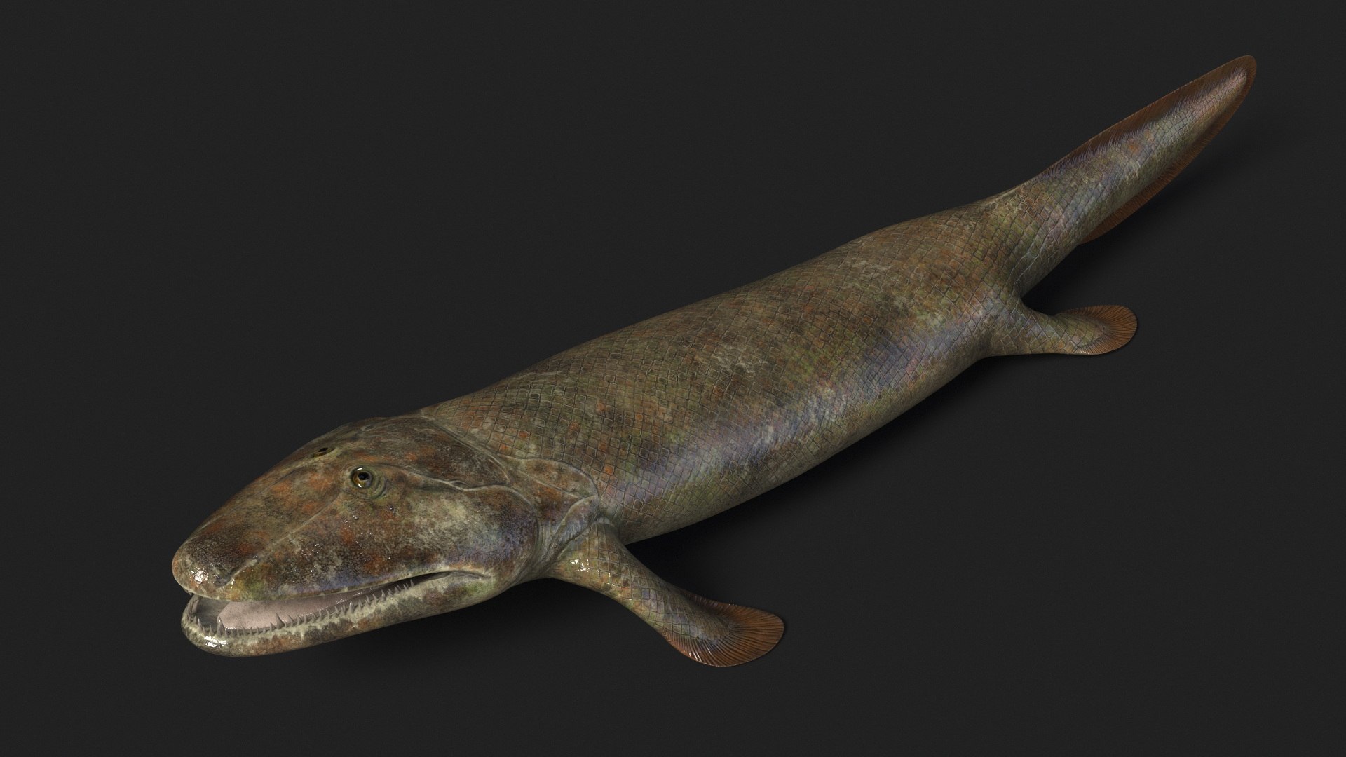 Tiktaalik Extinct Sarcopterygian 3D Model - TurboSquid 2318269