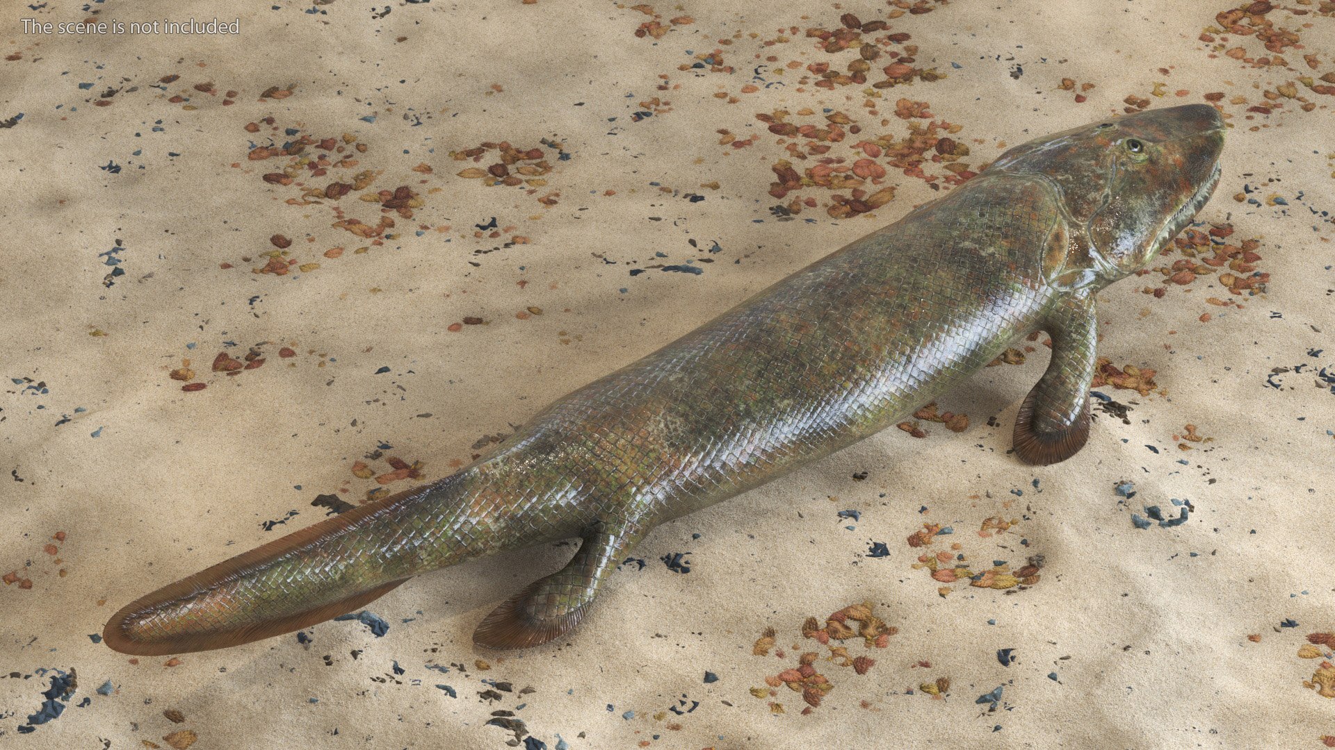 Tiktaalik Extinct Sarcopterygian 3D Model - TurboSquid 2318269