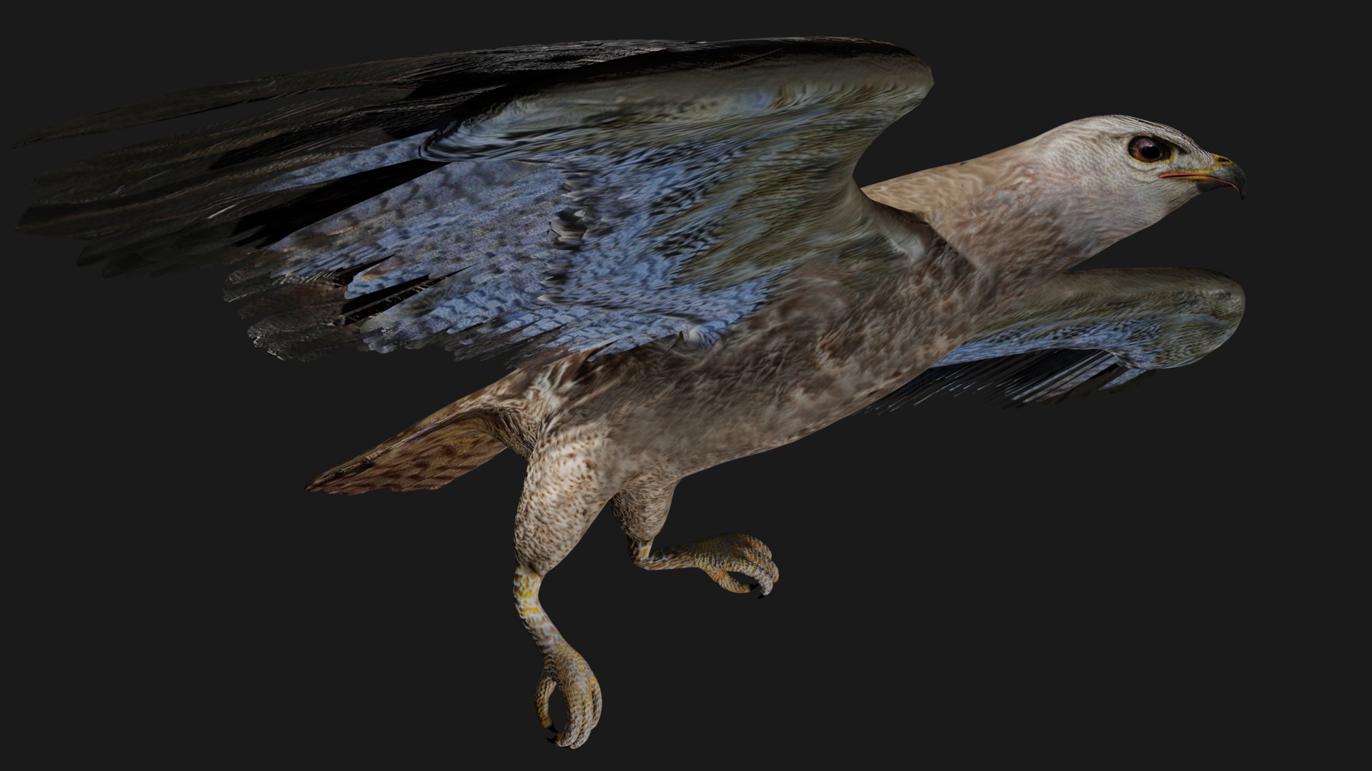 Hawk Rigged 3D Model - TurboSquid 1659772