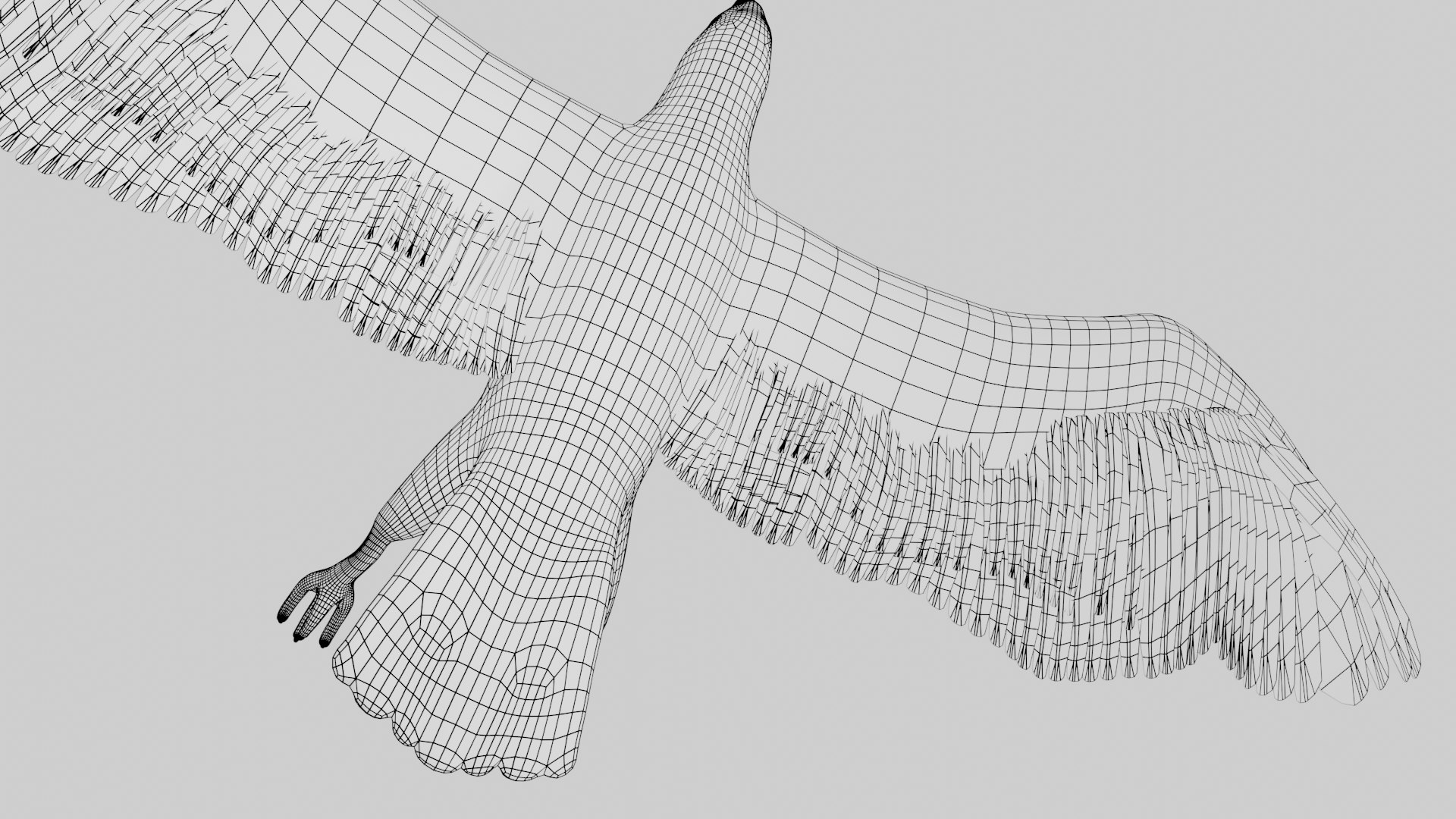 Hawk Rigged 3D Model - TurboSquid 1659772