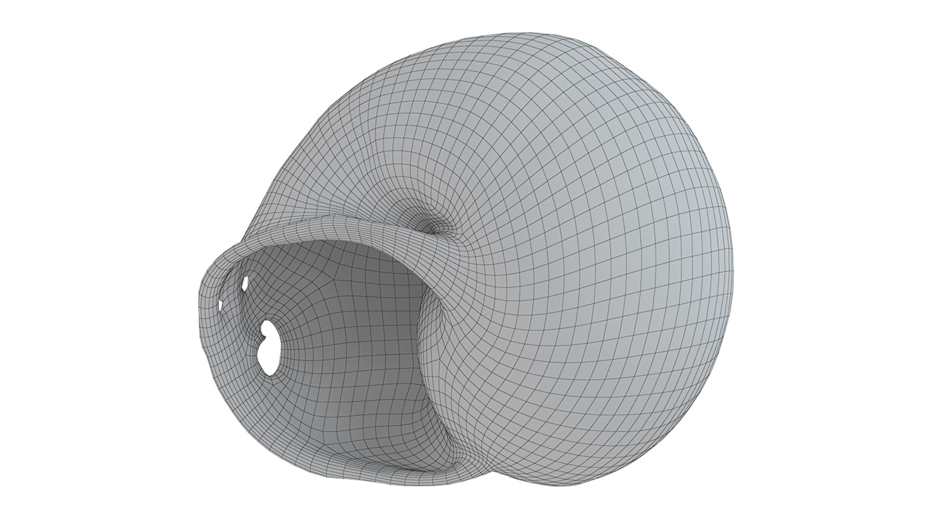 Snail Shell 3D Model - TurboSquid 1620031