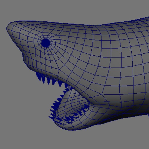 great white shark 3d ma