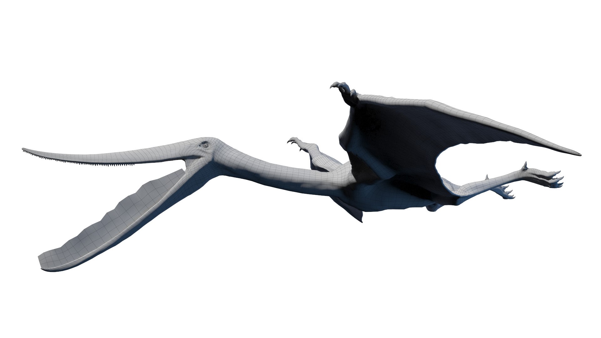 Pterodaustro Animated 3D Model - TurboSquid 1938659