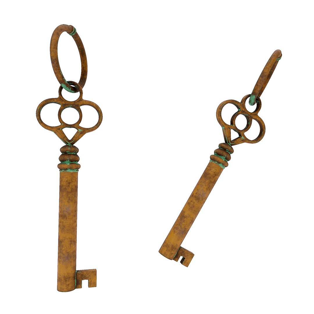 3D Rusty Skeleton Key Model - TurboSquid 1977280