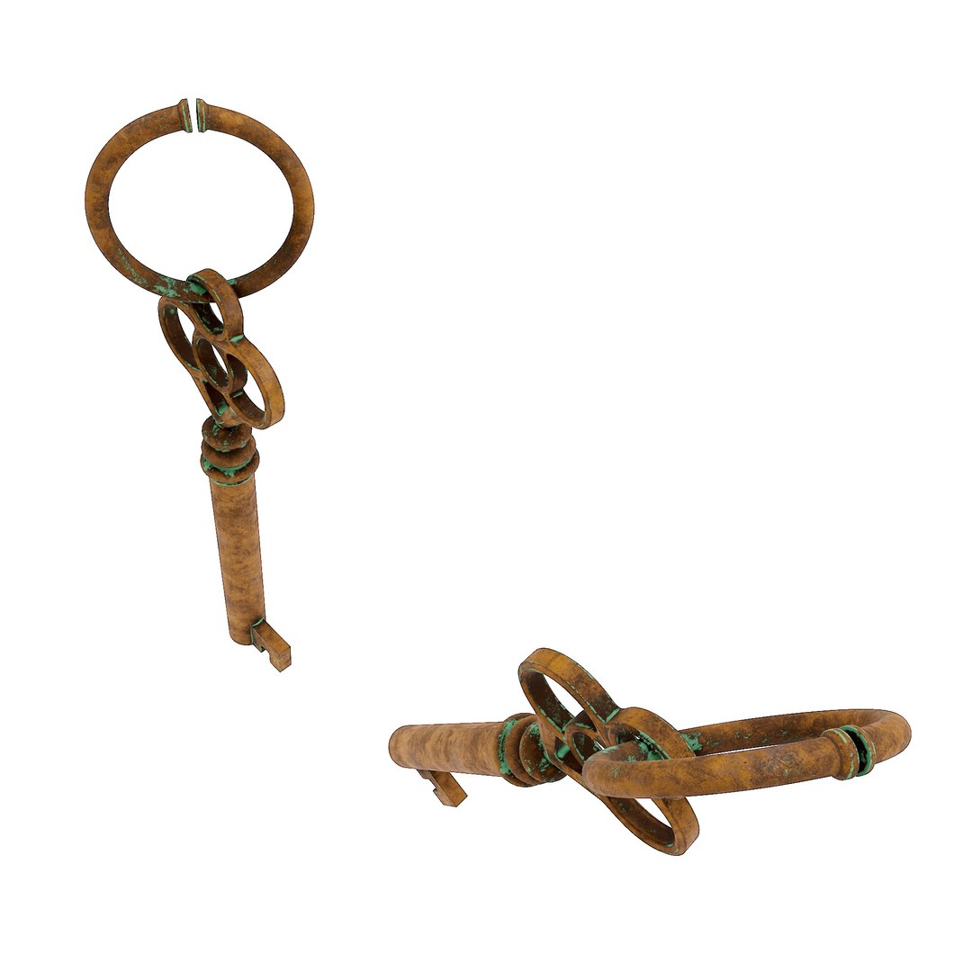 3D Rusty Skeleton Key Model - TurboSquid 1977280