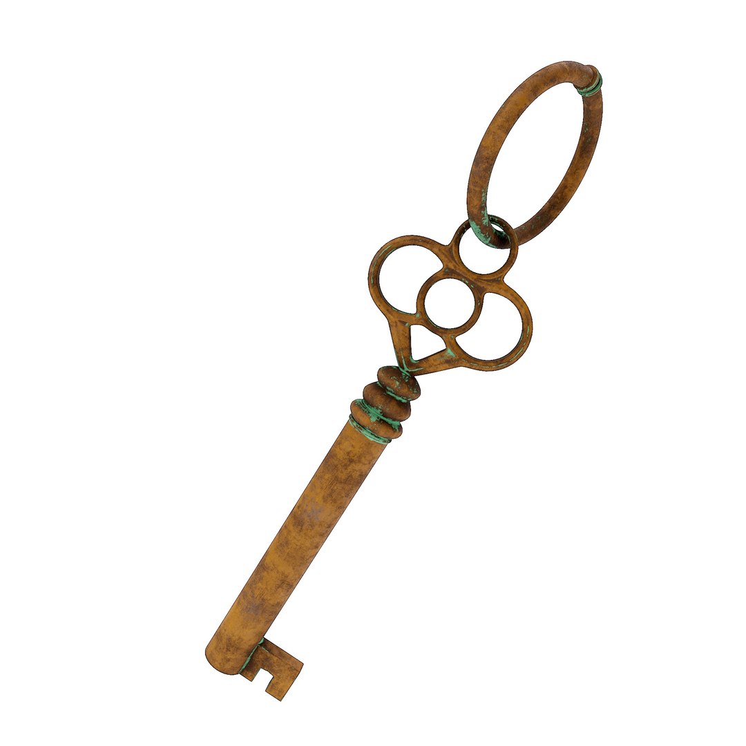 3D Rusty Skeleton Key Model - TurboSquid 1977280
