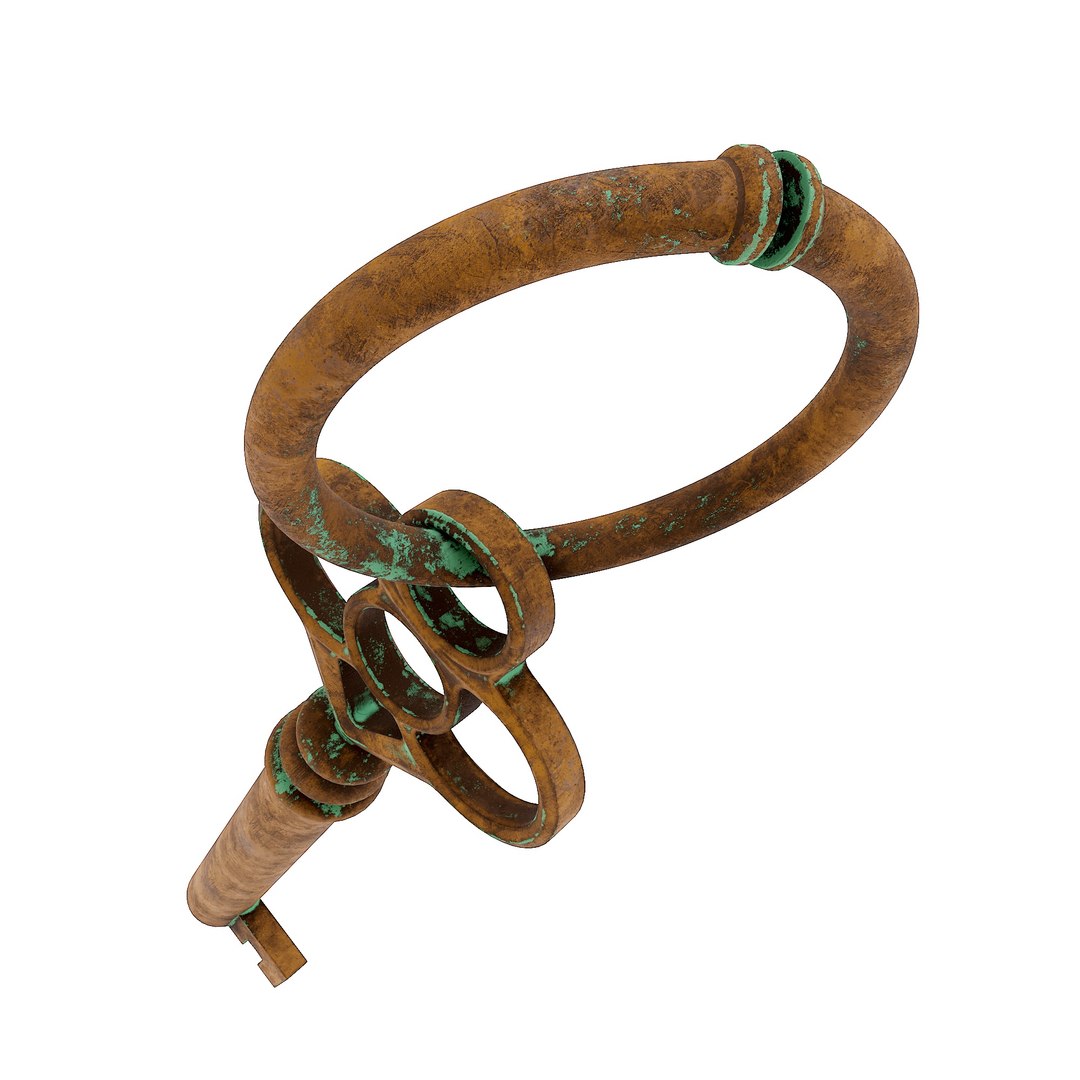 3D Rusty Skeleton Key Model - TurboSquid 1977280