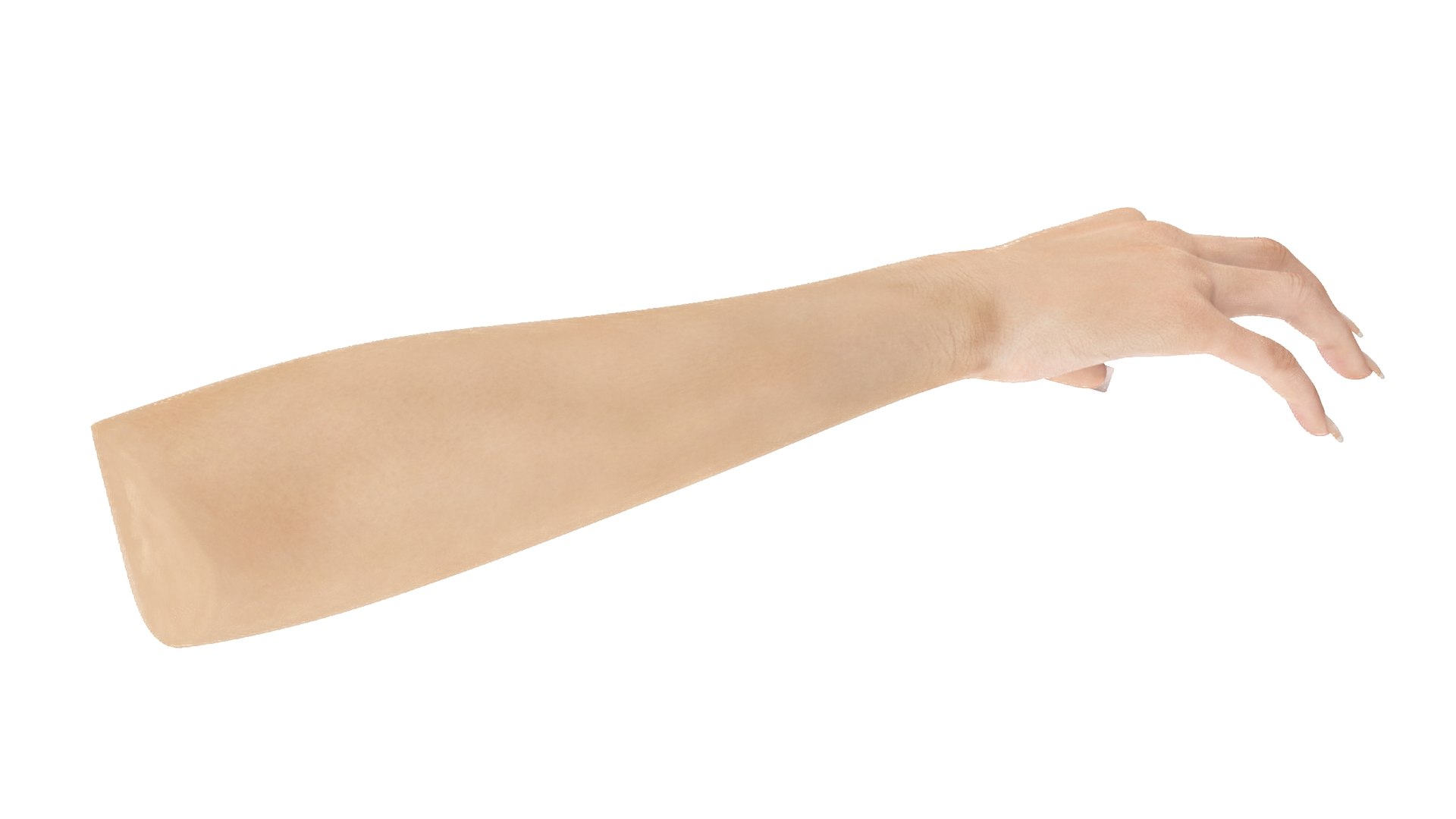3D Olive Skin Female Hand OK Pose - TurboSquid 2193847