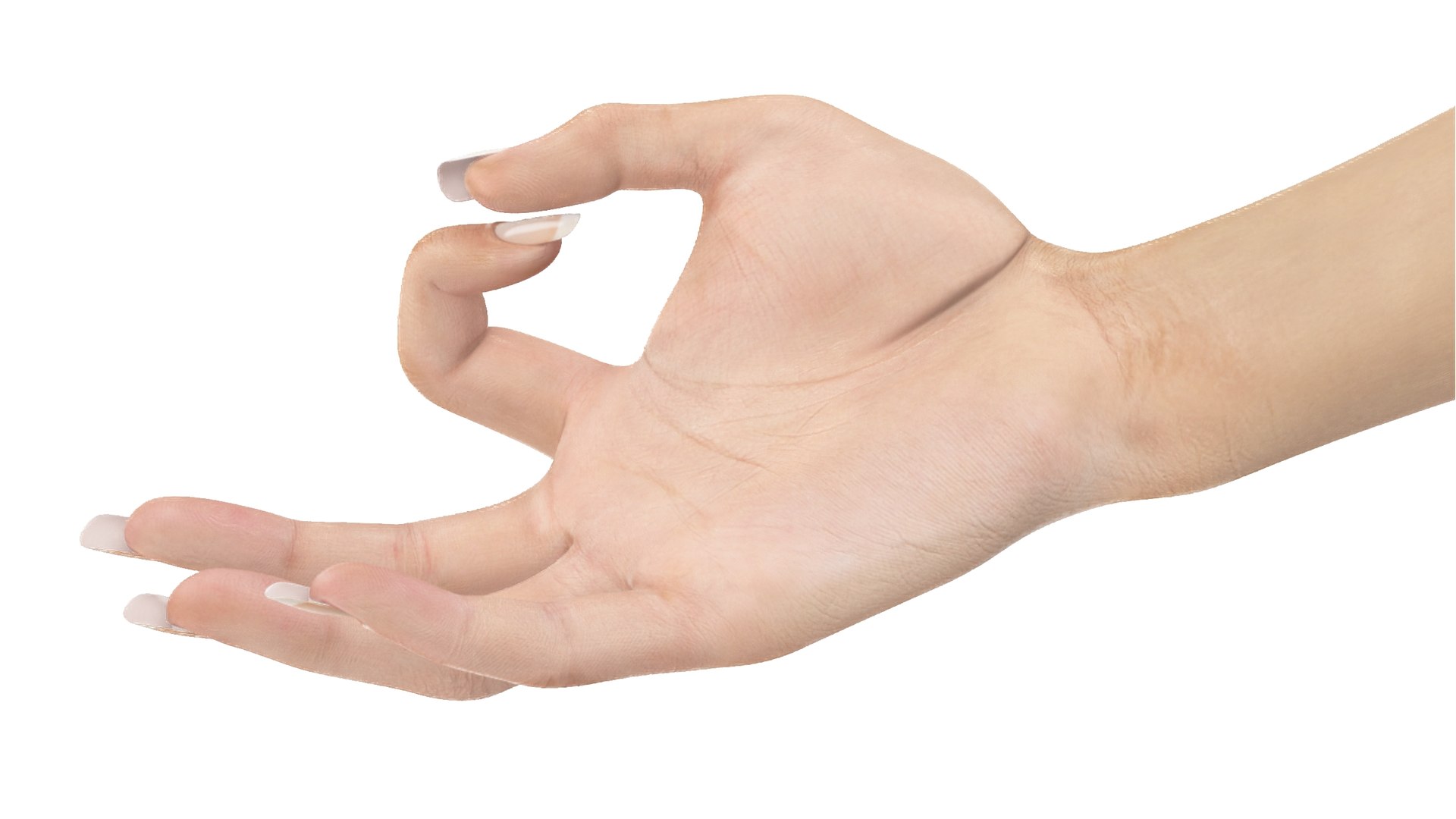 3D Olive Skin Female Hand OK Pose - TurboSquid 2193847