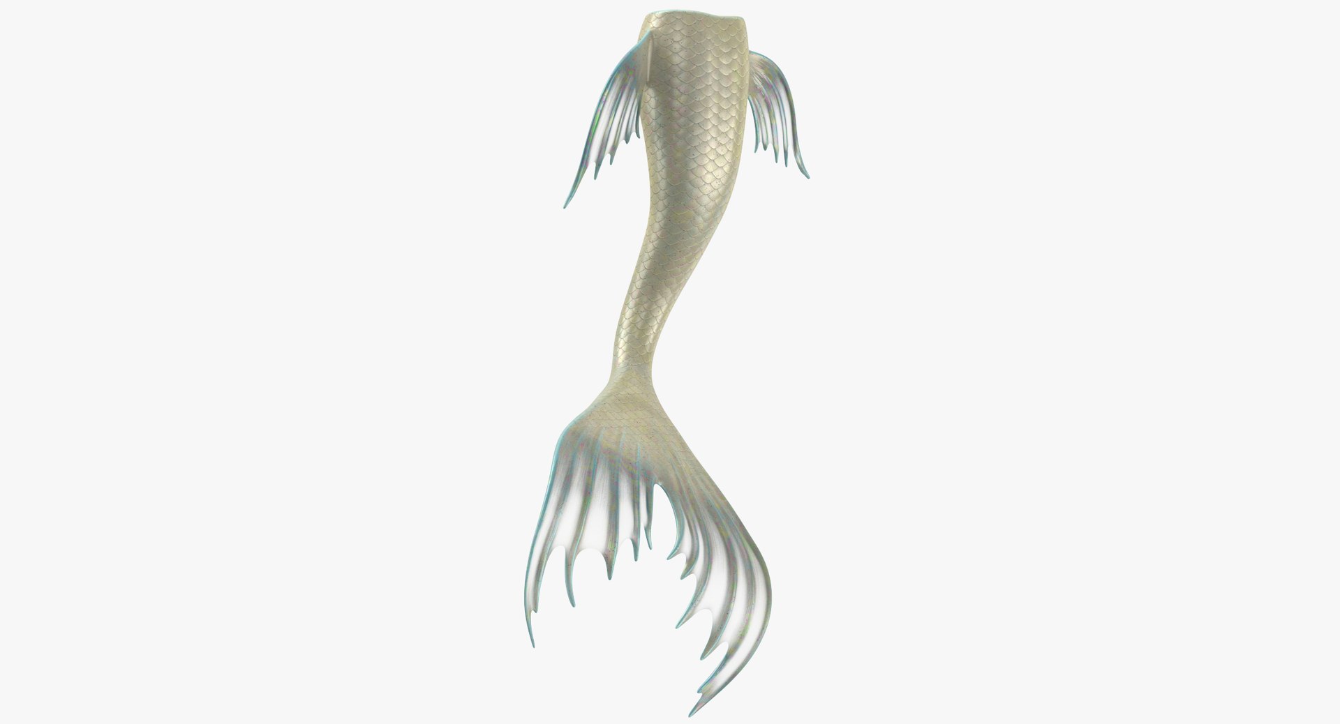Mermaid Tail 03 Straight 3D Model - TurboSquid 1251463
