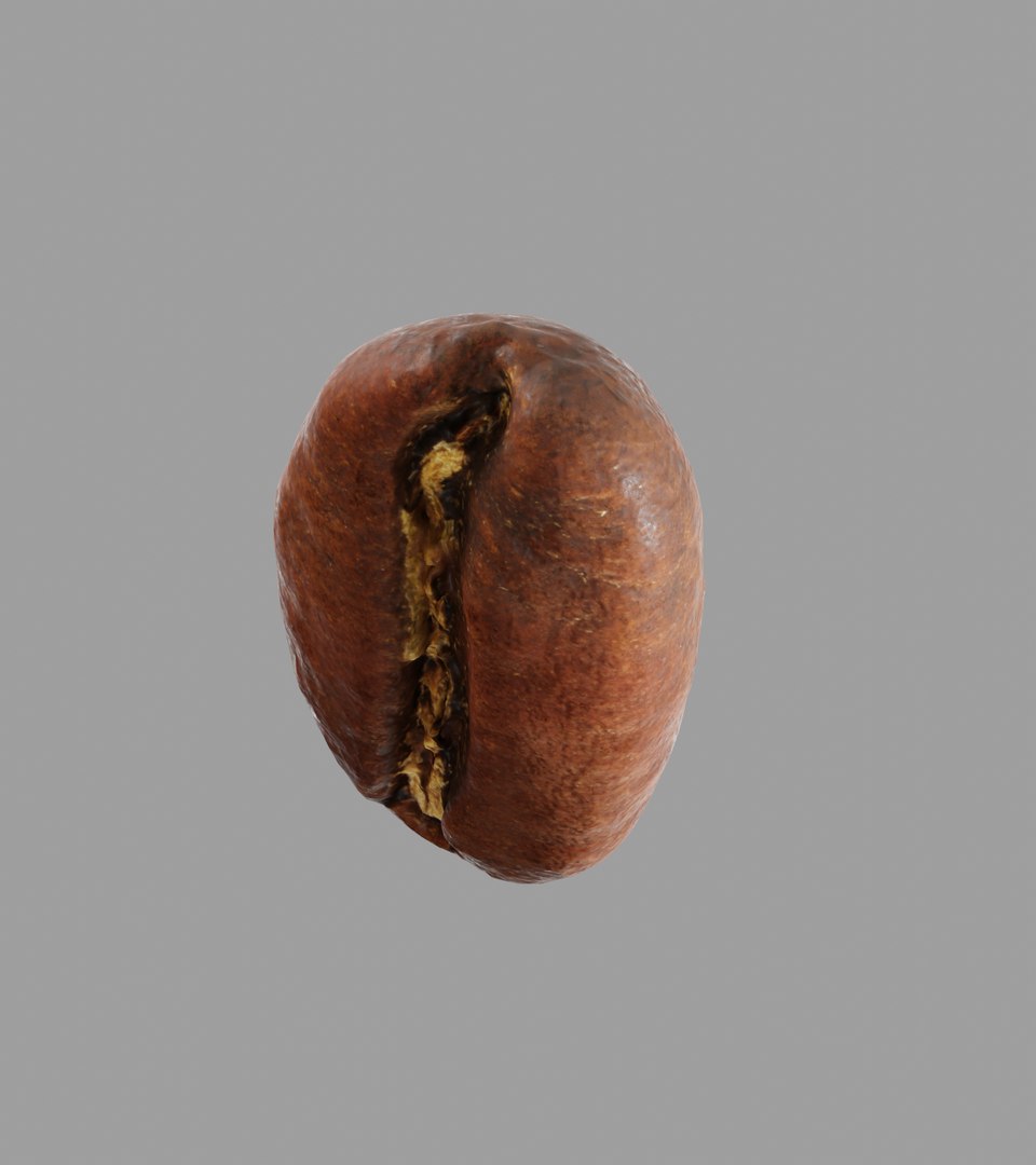 3D Model Coffee Bean - TurboSquid 2115505