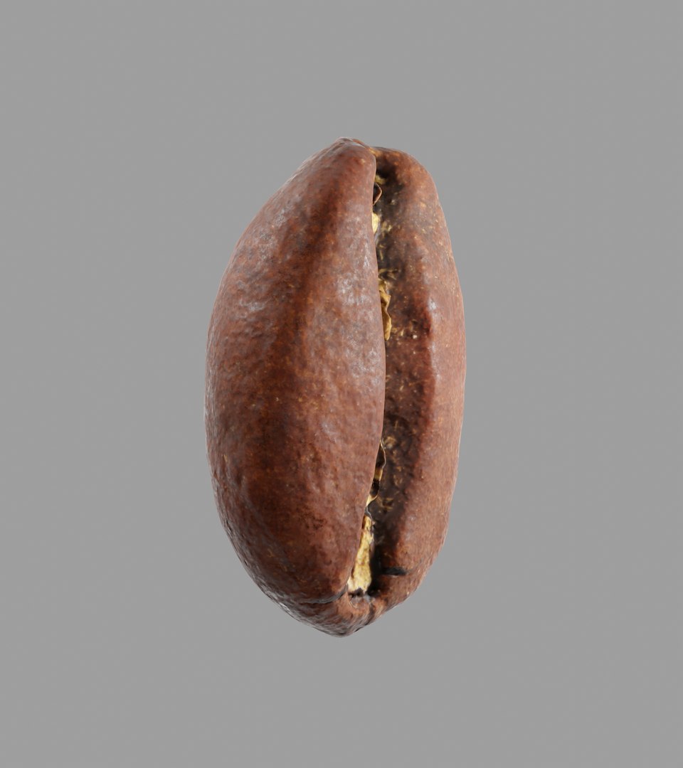 3D Model Coffee Bean - TurboSquid 2115505