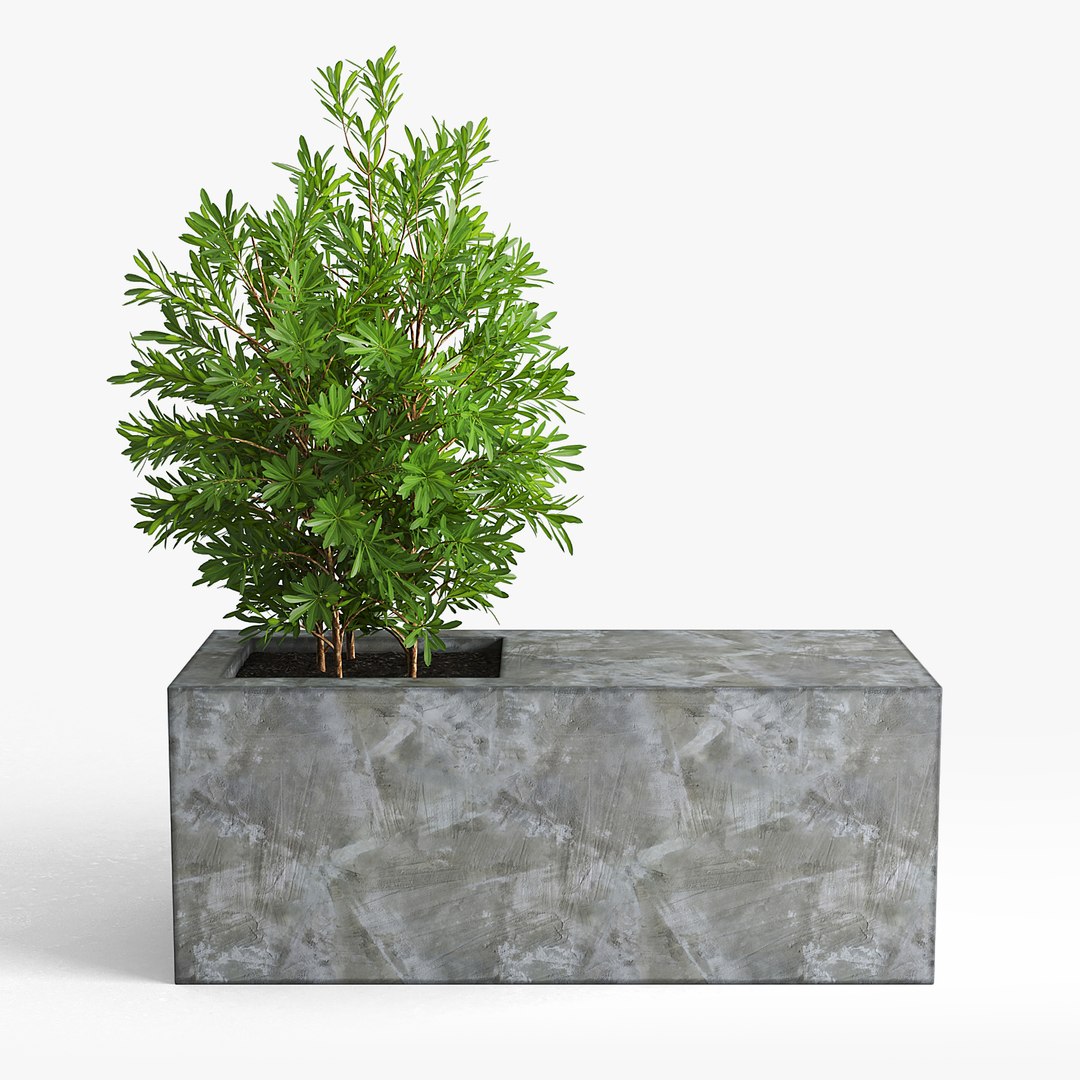 3D Model Tree Bush - TurboSquid 1653009