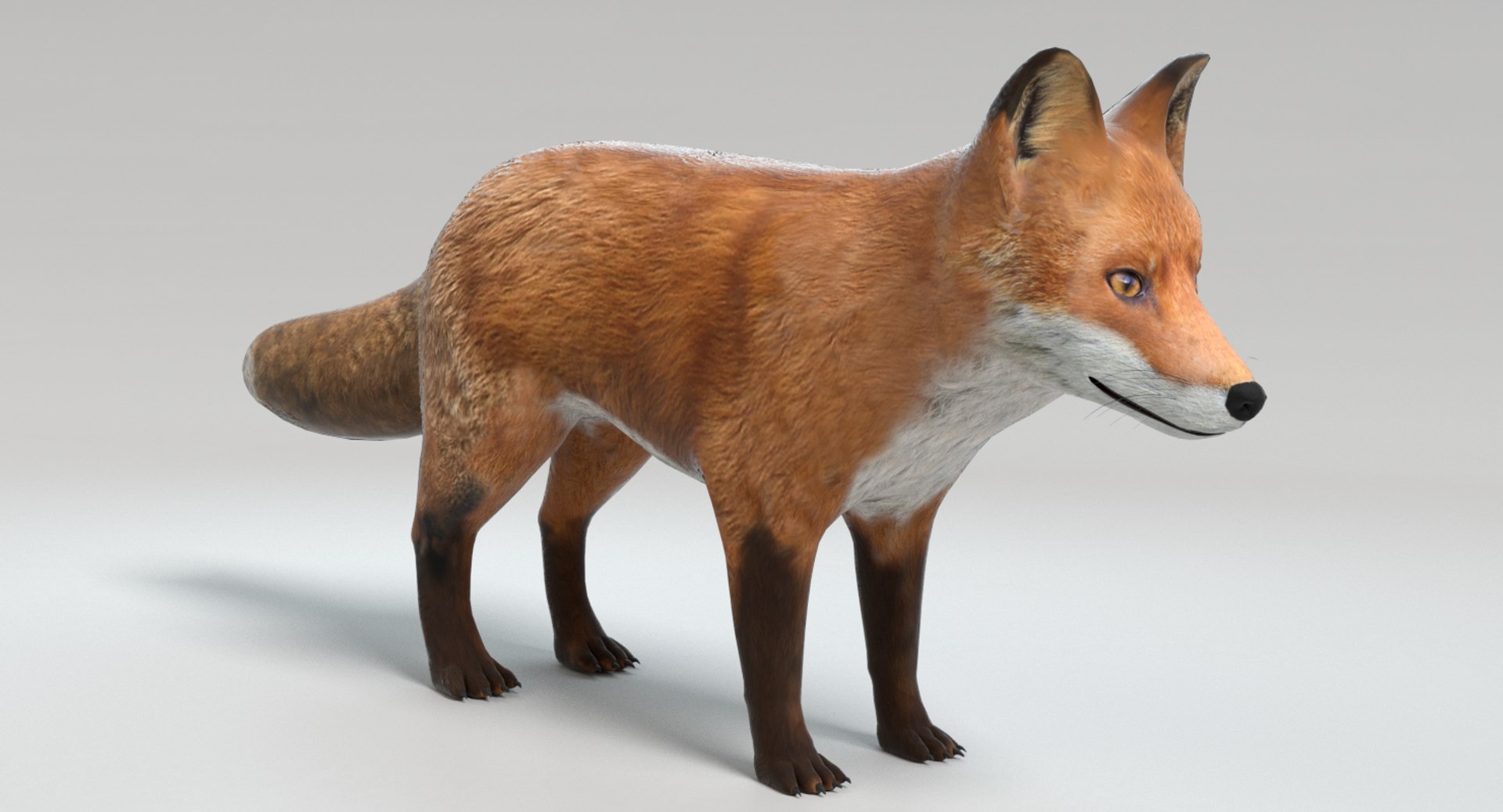 3D animals 4 - TurboSquid 1197530