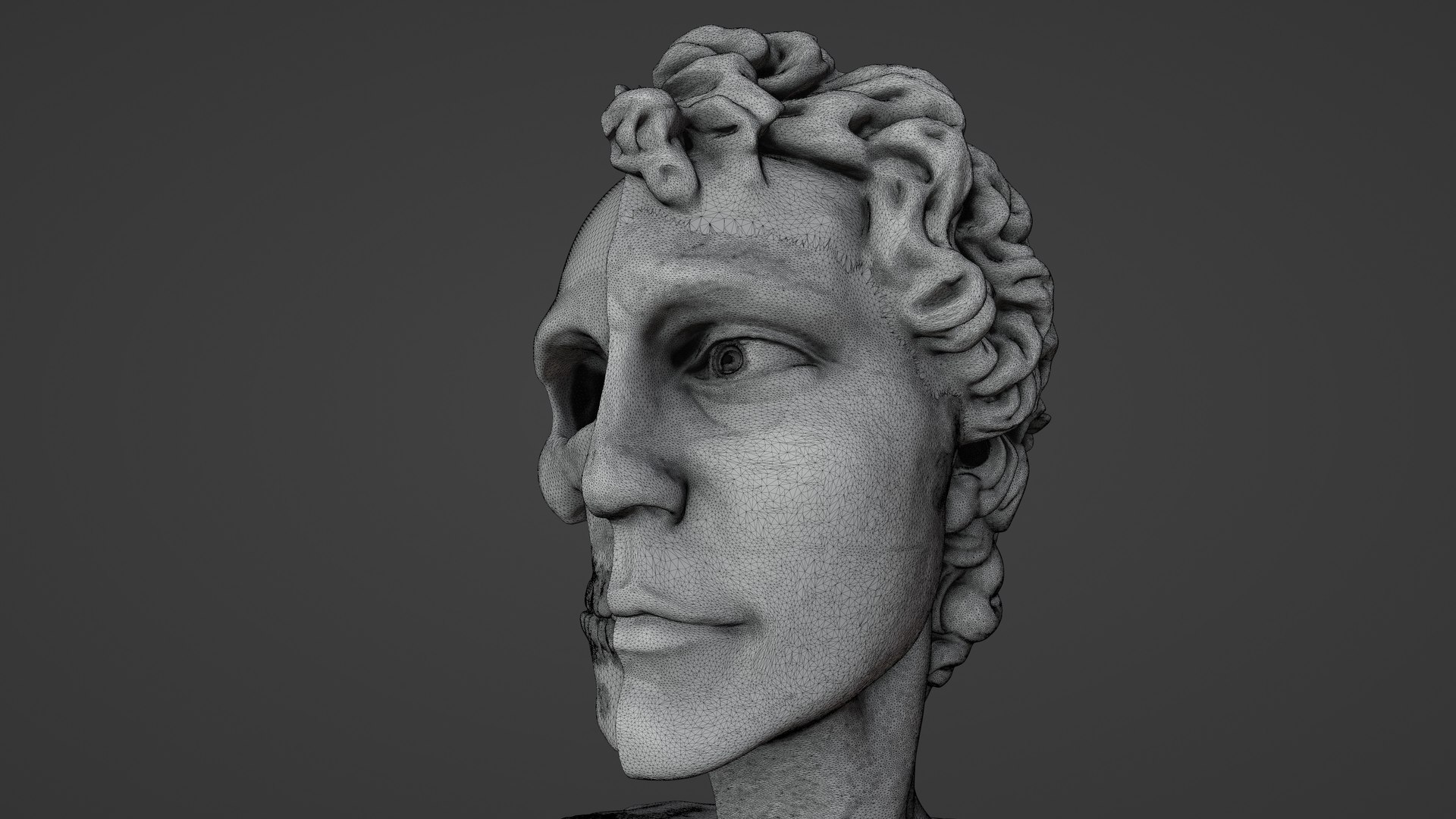 Half Head Half Skull 3D Model - TurboSquid 2078760