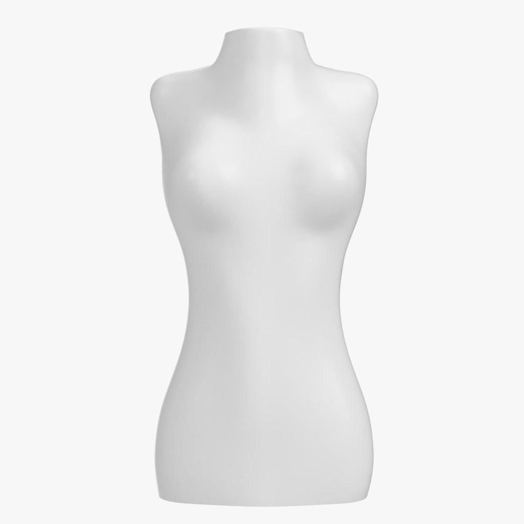 3D Female Half Body Dummy - TurboSquid 1392665