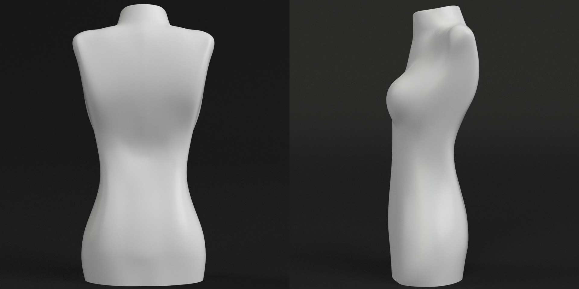 3D Female Half Body Dummy - TurboSquid 1392665