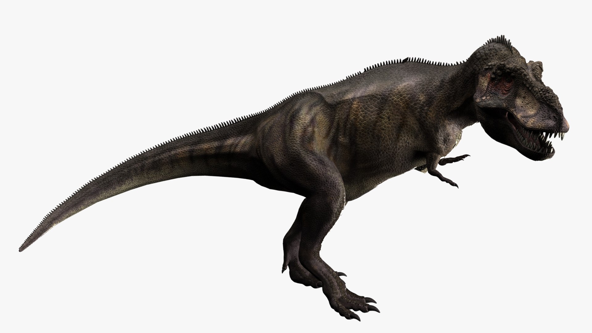 Rigged Tyrannosaurus Rex with 4K textures3Dモデル - TurboSquid 1969509