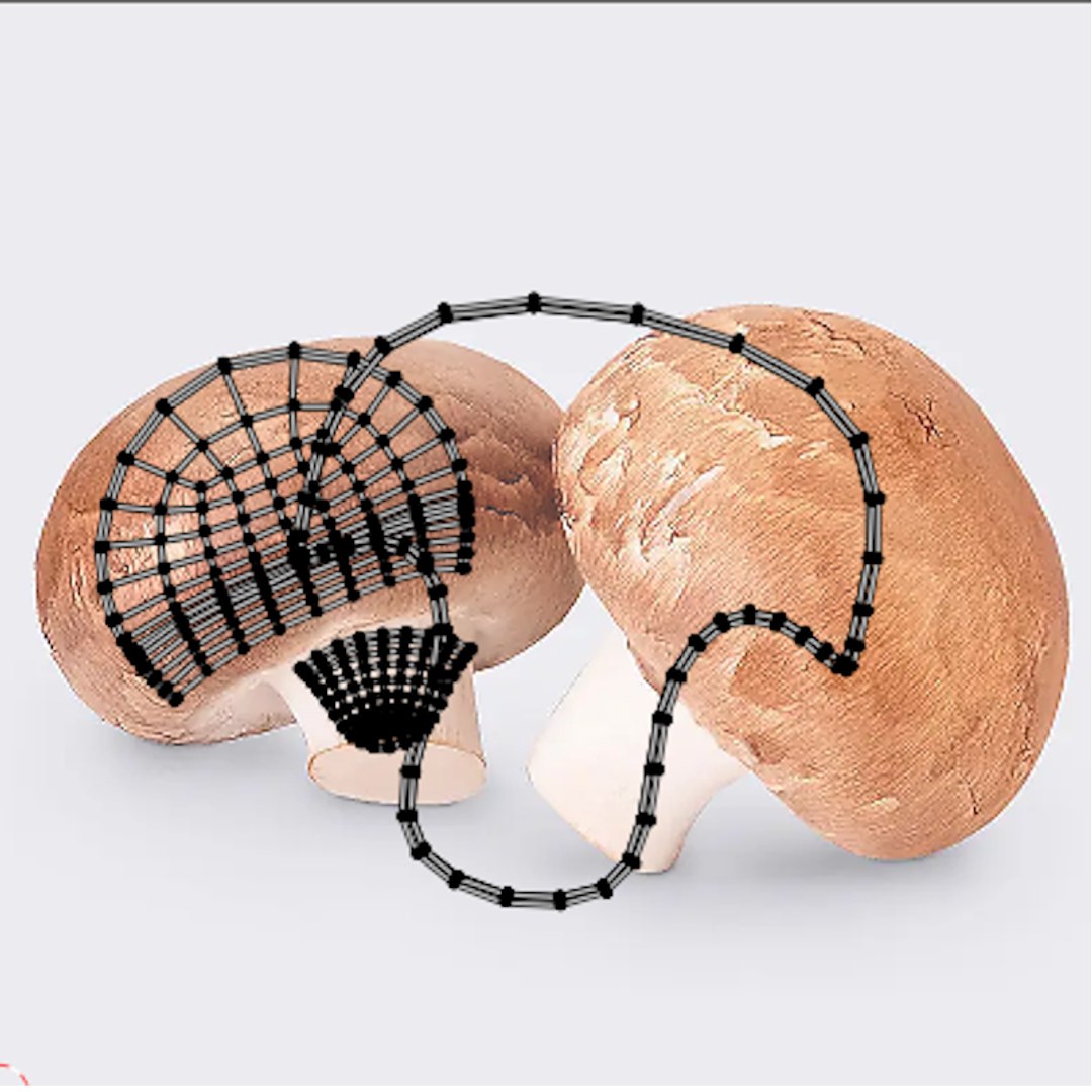 3D Ramen Model - TurboSquid 2295750