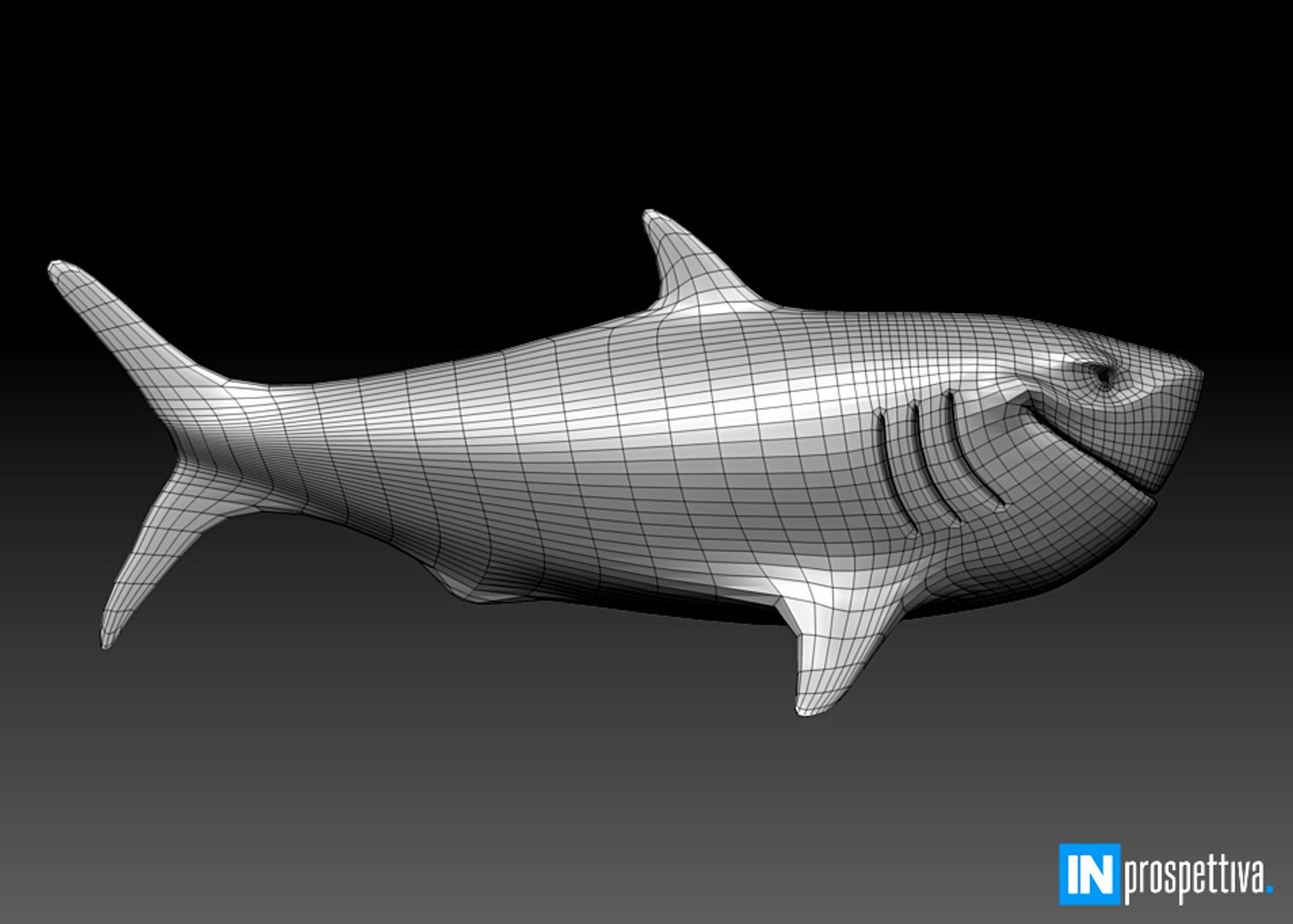 3d Shark Model