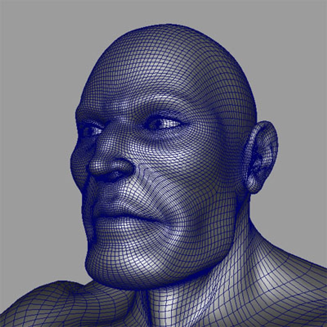 Muscle Man Human Anatomy 3d Model