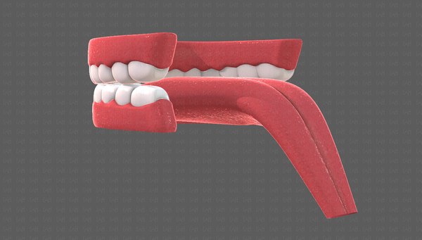3D teeth cartoon animation - TurboSquid 1694743