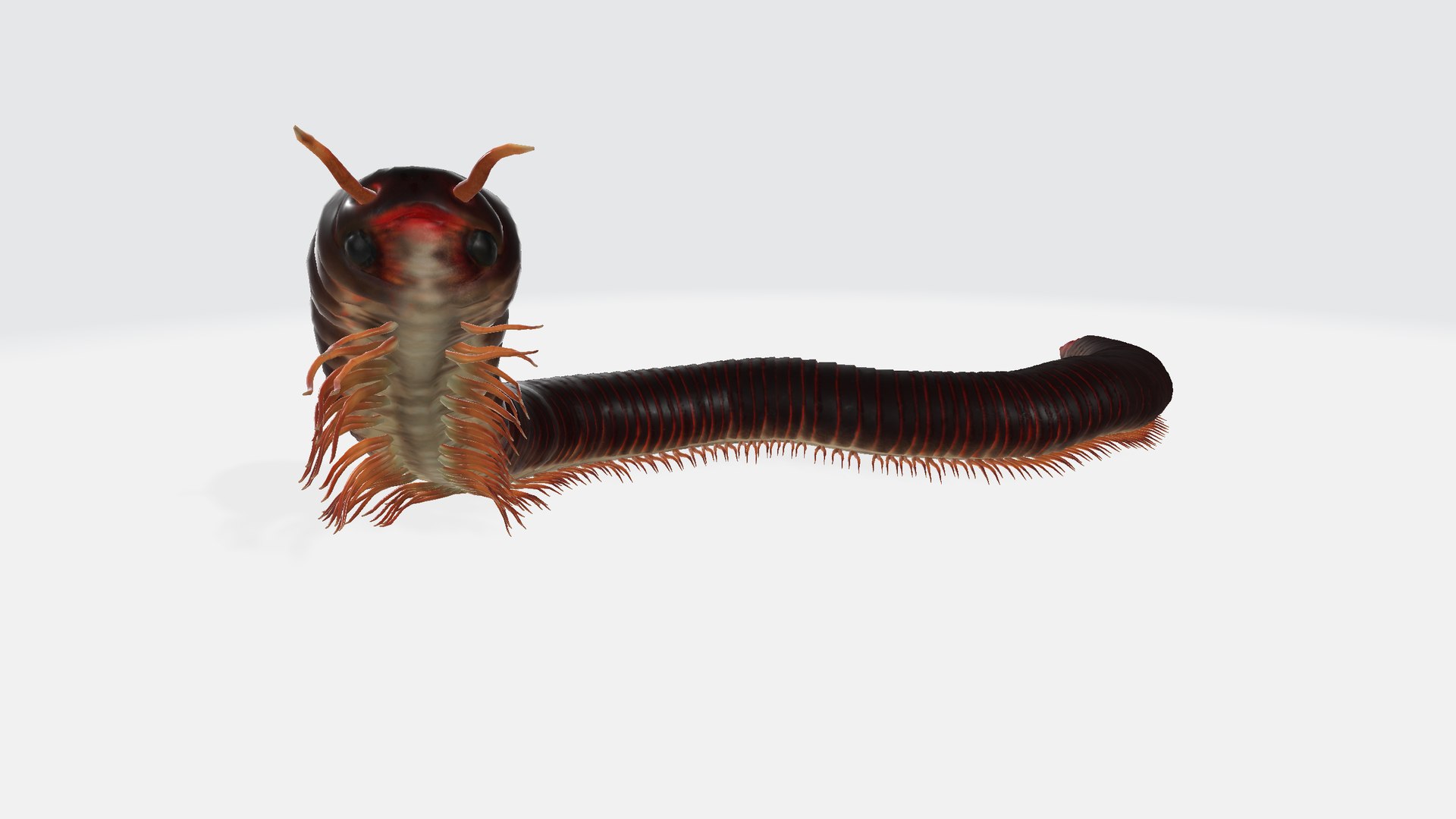 3D Curious Millipede - TurboSquid 2407642