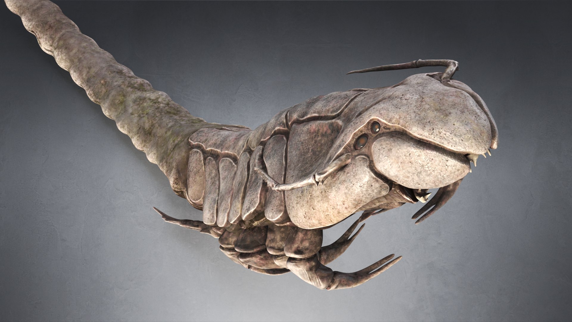 Creature Pbr Monster Model - TurboSquid 1523557