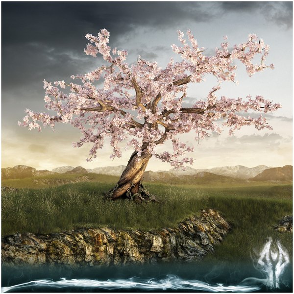 3D Cherry-Blossom Models | TurboSquid