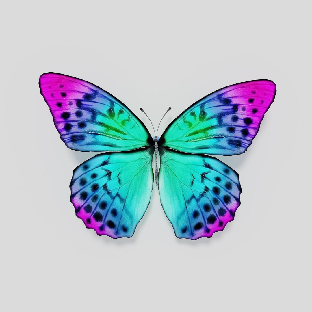 Free 3D Butterfly Rigged Lowpoly Model - TurboSquid 1723155