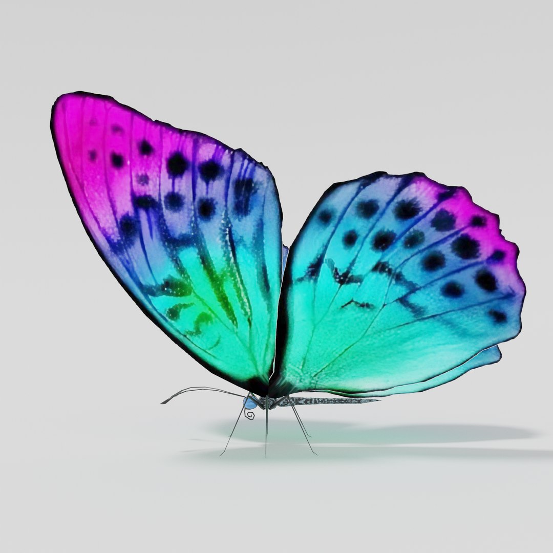 Free 3D Butterfly Rigged Lowpoly Model - TurboSquid 1723155
