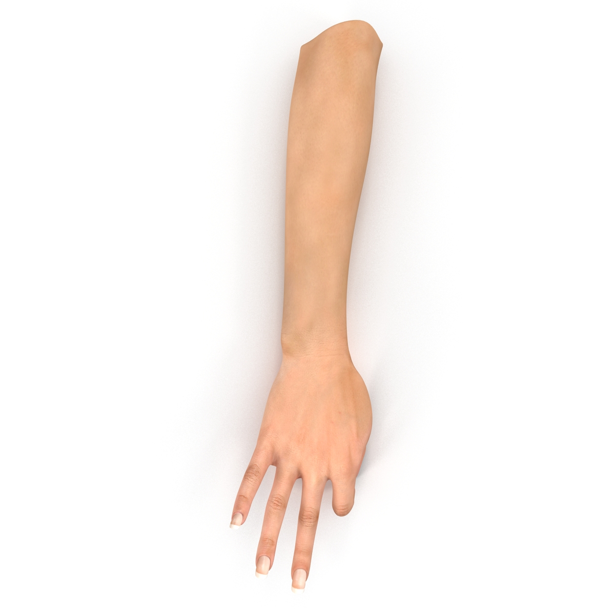 female hand 2 rigged 3d model
