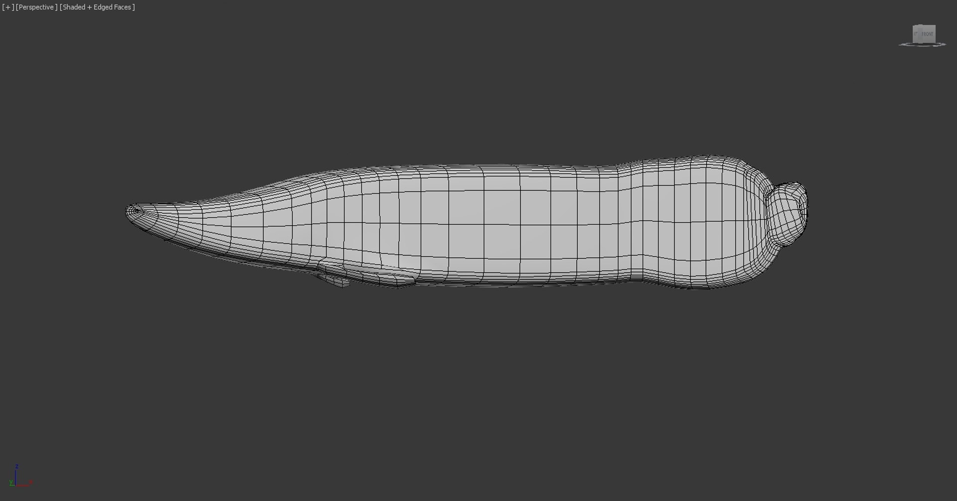 Rigged Monster Fish Arapaima 3d Model