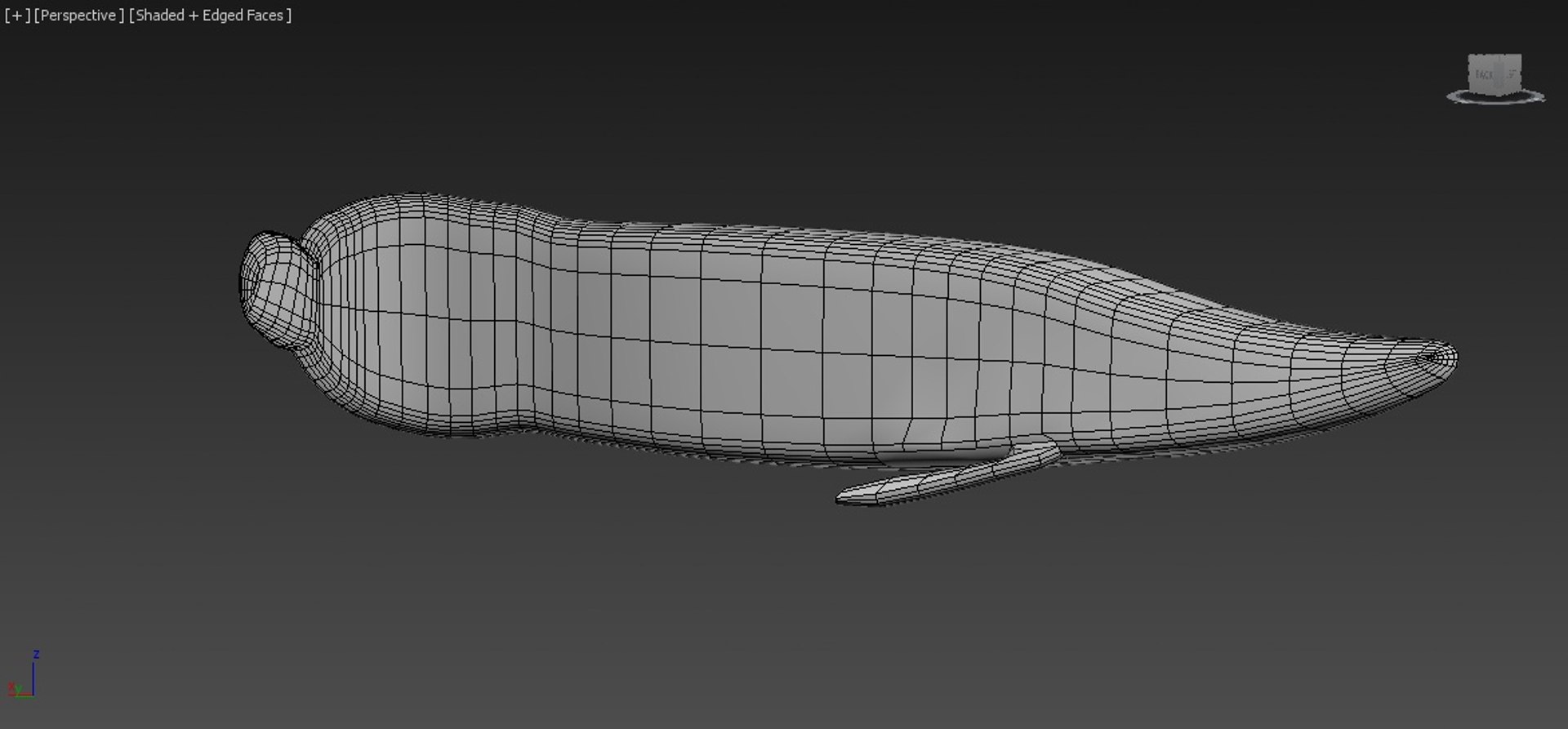 Rigged Monster Fish Arapaima 3d Model