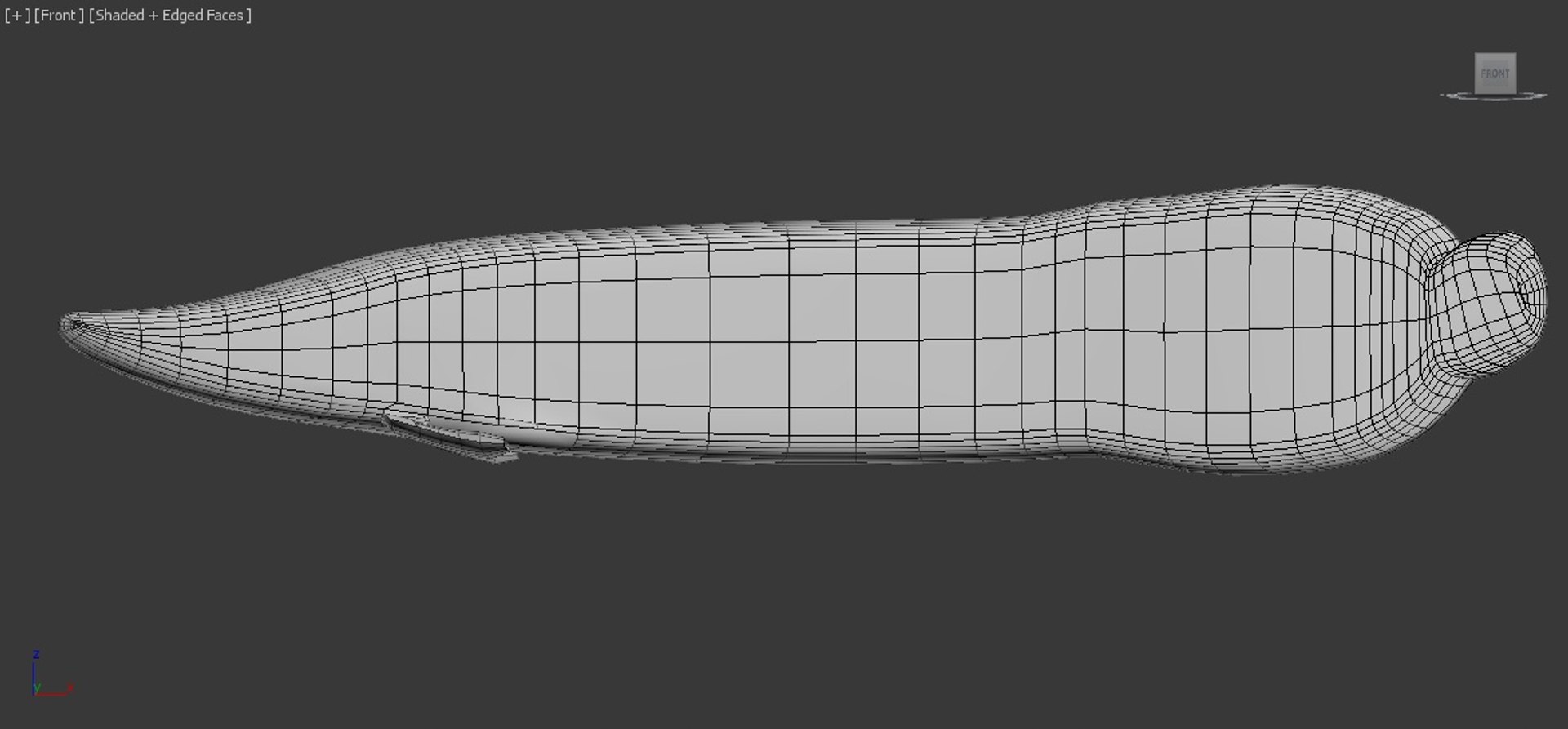 Rigged Monster Fish Arapaima 3d Model