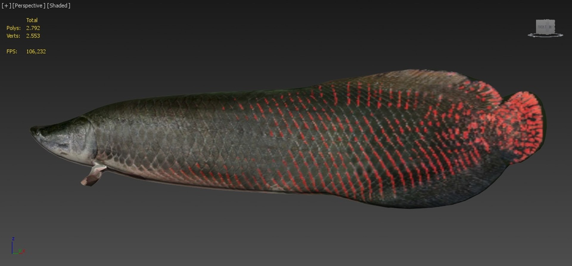 Rigged Monster Fish Arapaima 3d Model