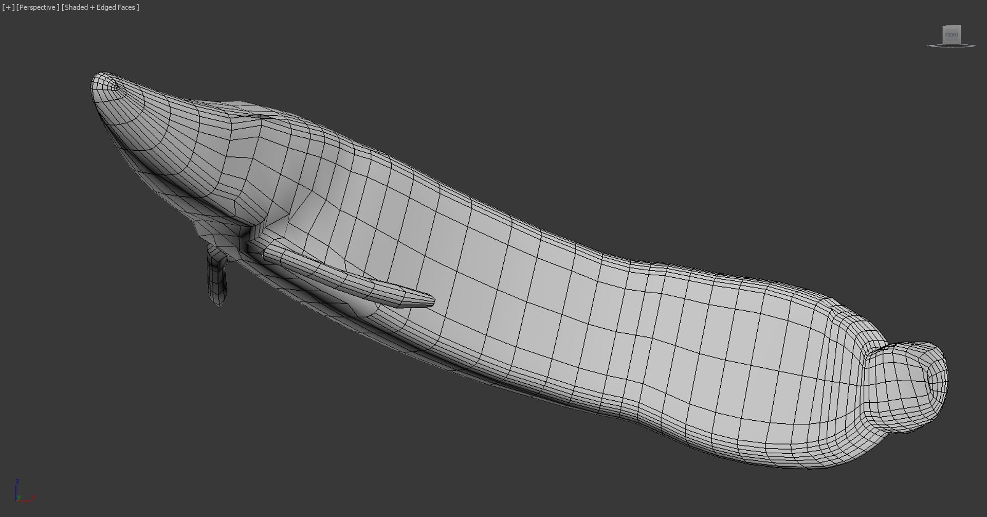 Rigged Monster Fish Arapaima 3d Model