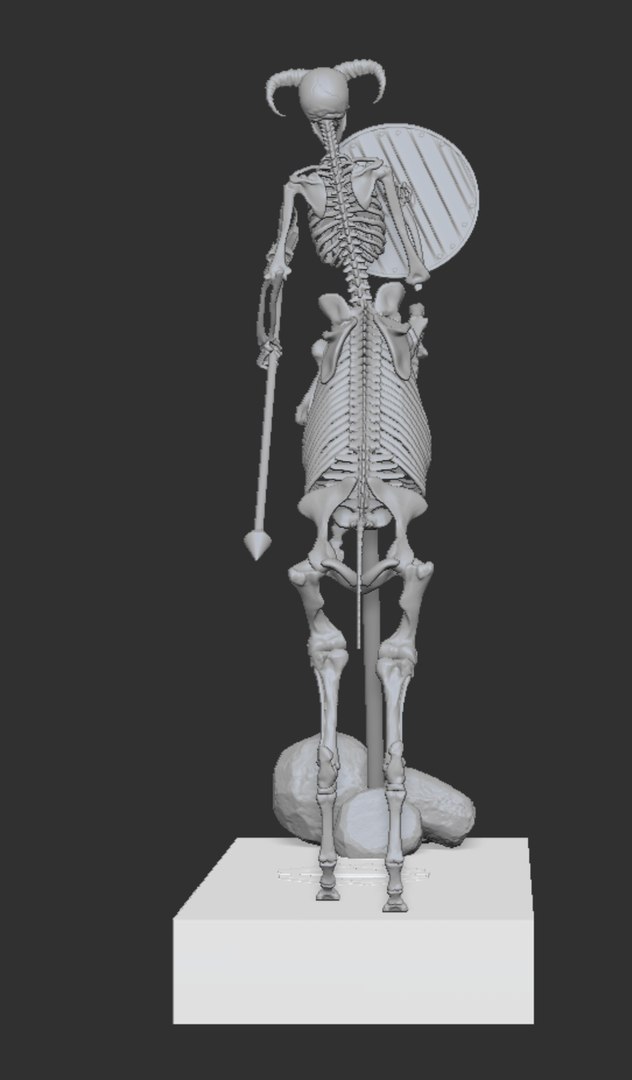 Centaur Warrior Skeleton 3D Model - TurboSquid 2292077