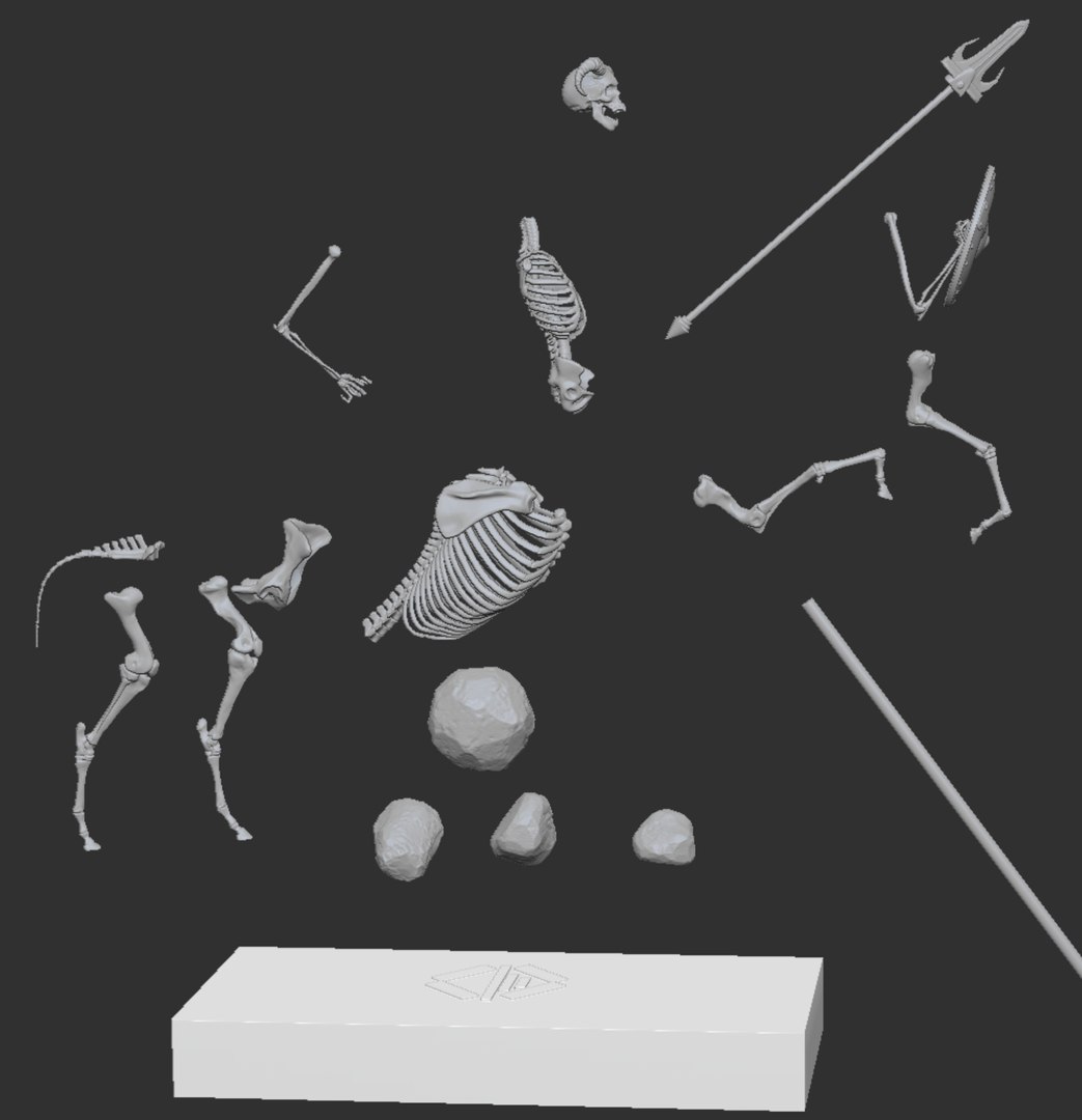 Centaur Warrior Skeleton 3D Model - TurboSquid 2292077