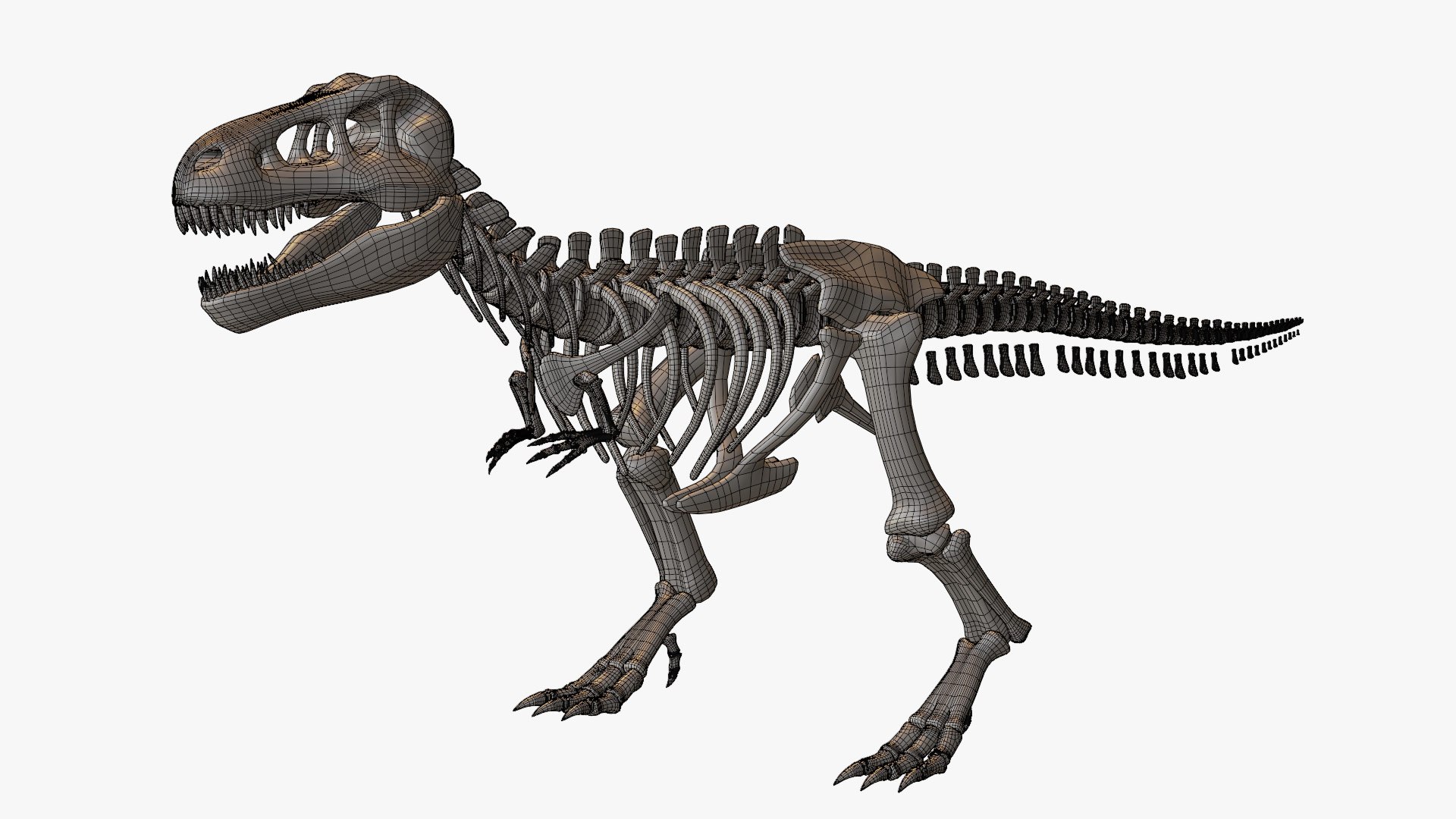 3D Tyrannosaurus Rex Skeleton - TurboSquid 2274695