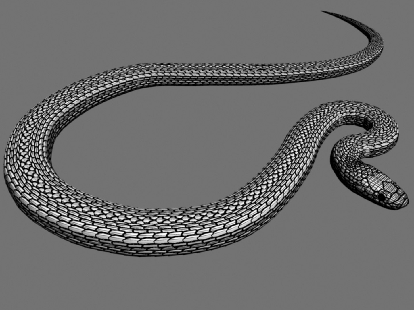 3D Rigged Snake - TurboSquid 1261377