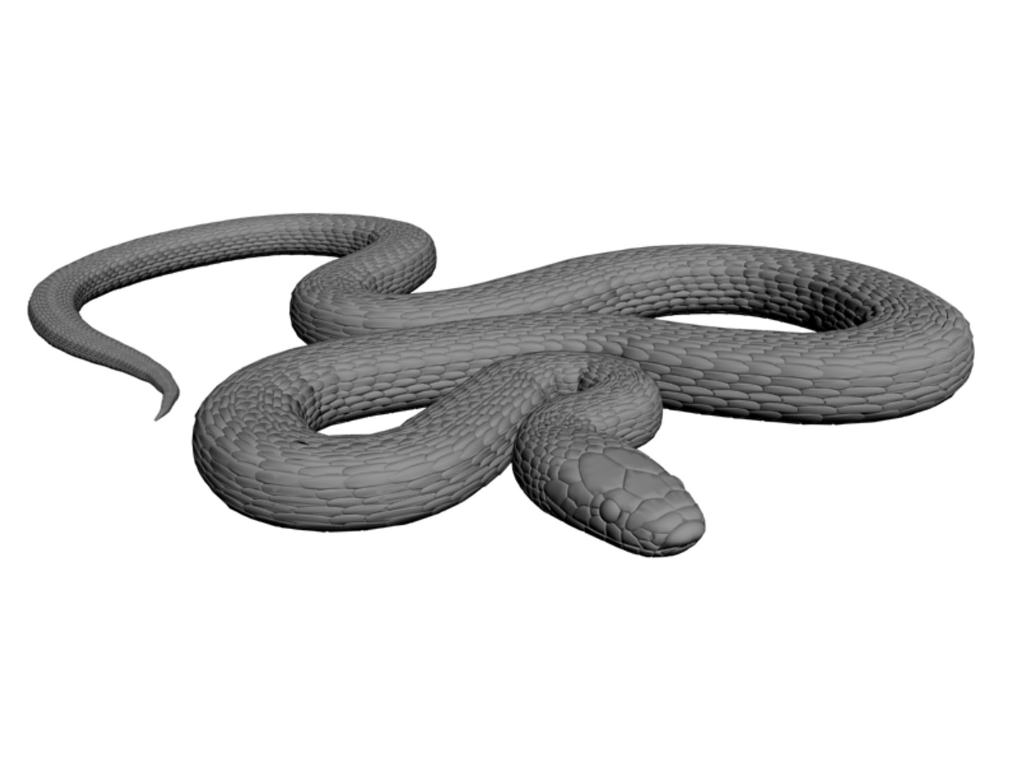 3D Rigged Snake - TurboSquid 1261377