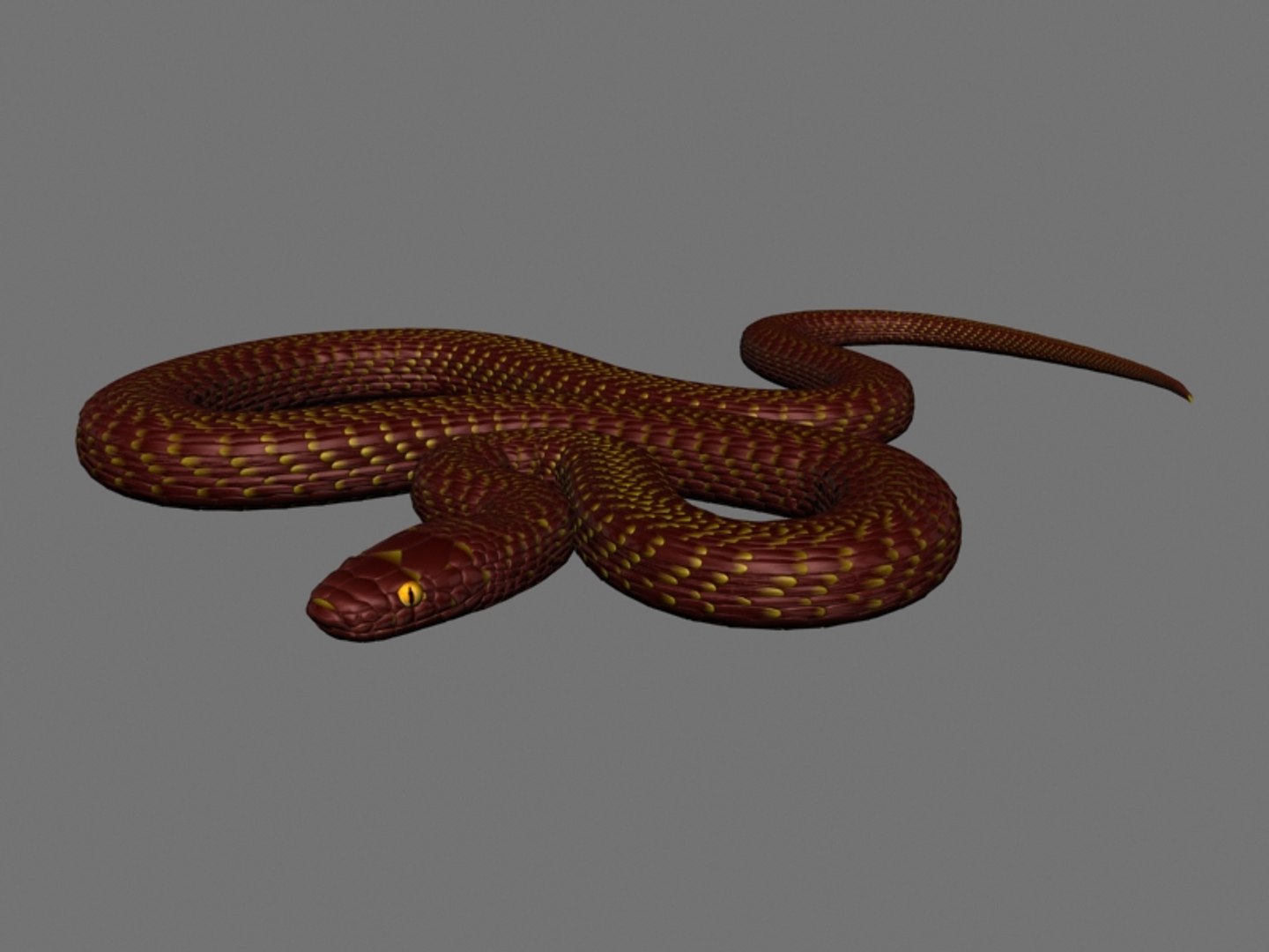 3D Rigged Snake - TurboSquid 1261377