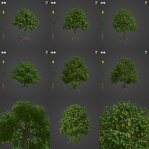 3D Model Apple Tree - TurboSquid 1156197
