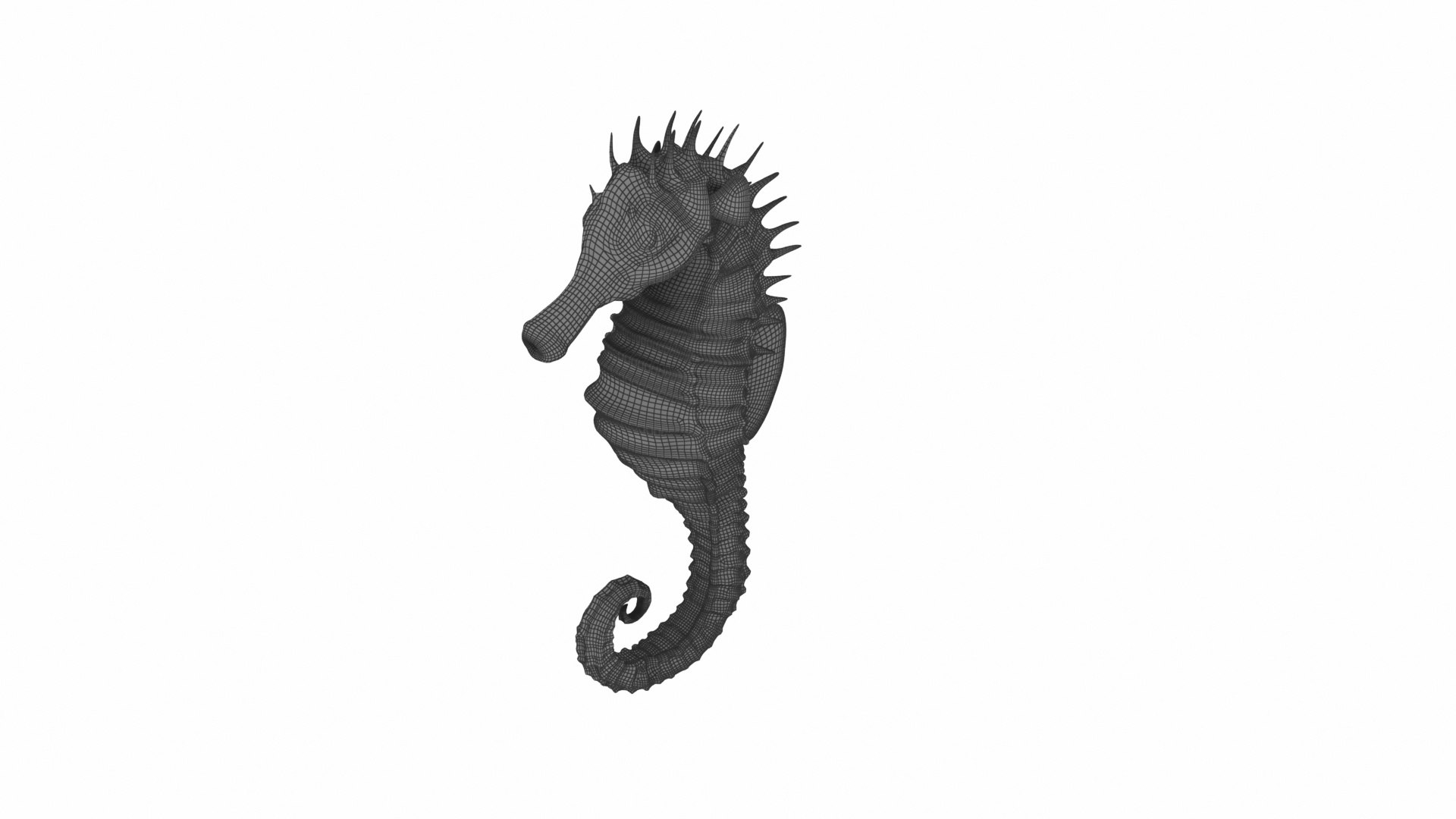 3D Realistic Sea Horse - TurboSquid 1483194