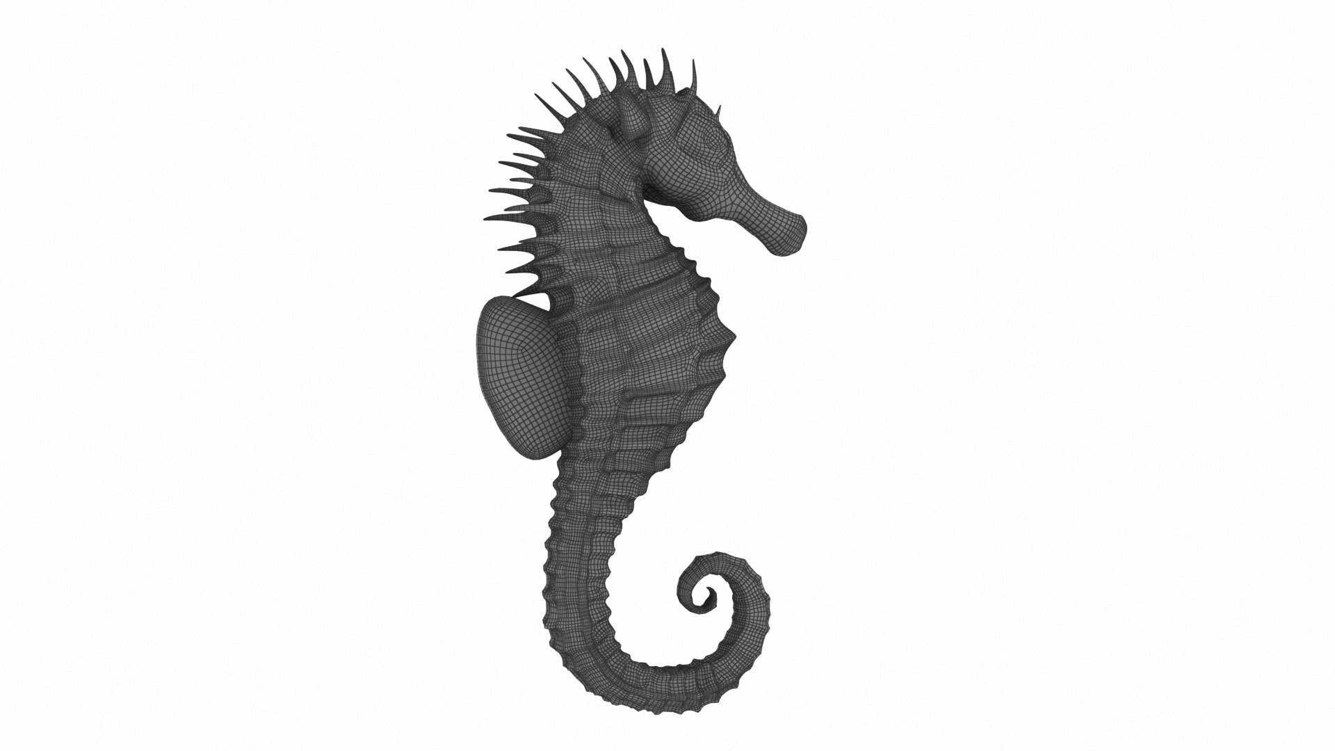 3D Realistic Sea Horse - TurboSquid 1483194