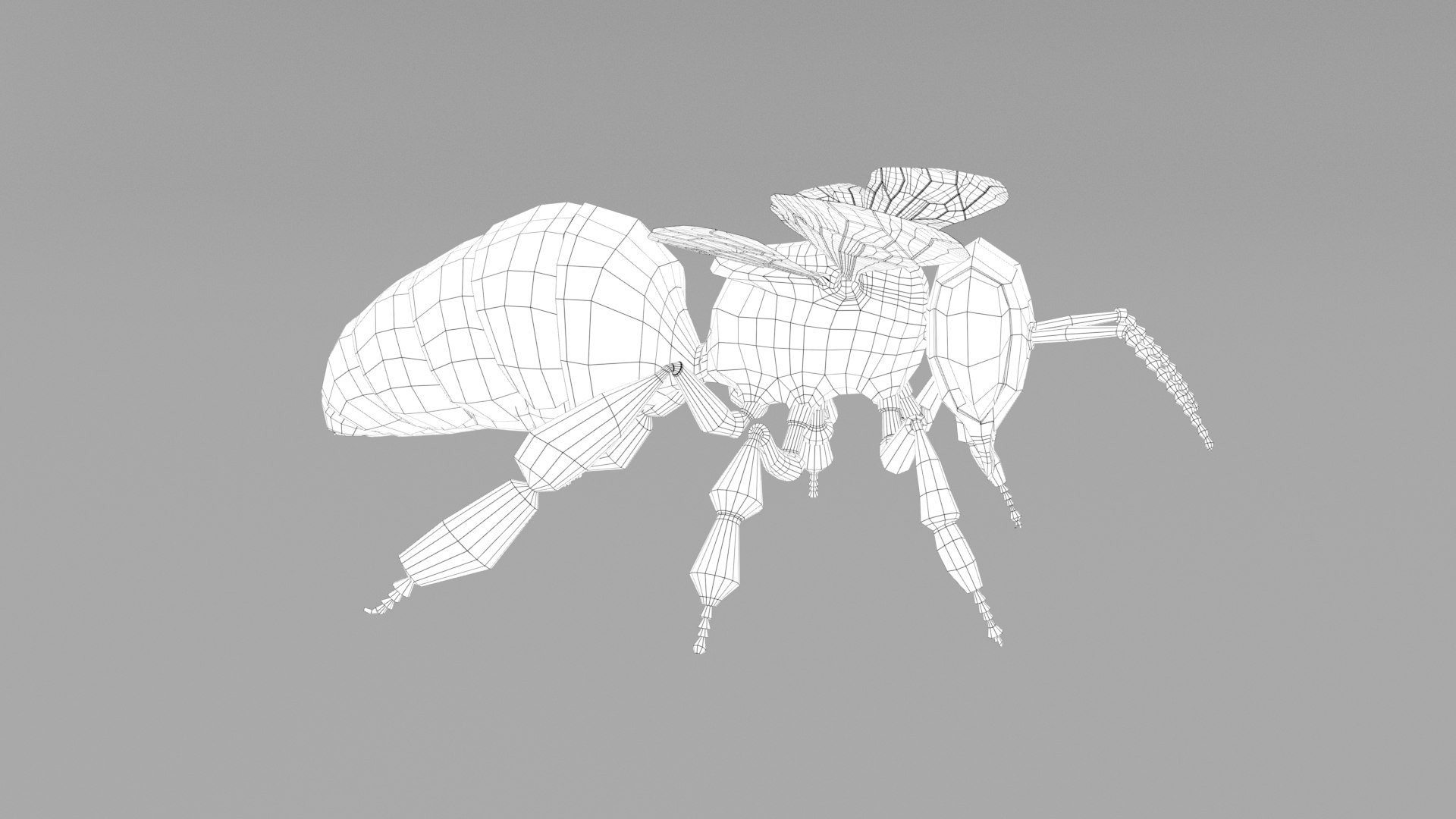 3D Realistic Bee - TurboSquid 2126675