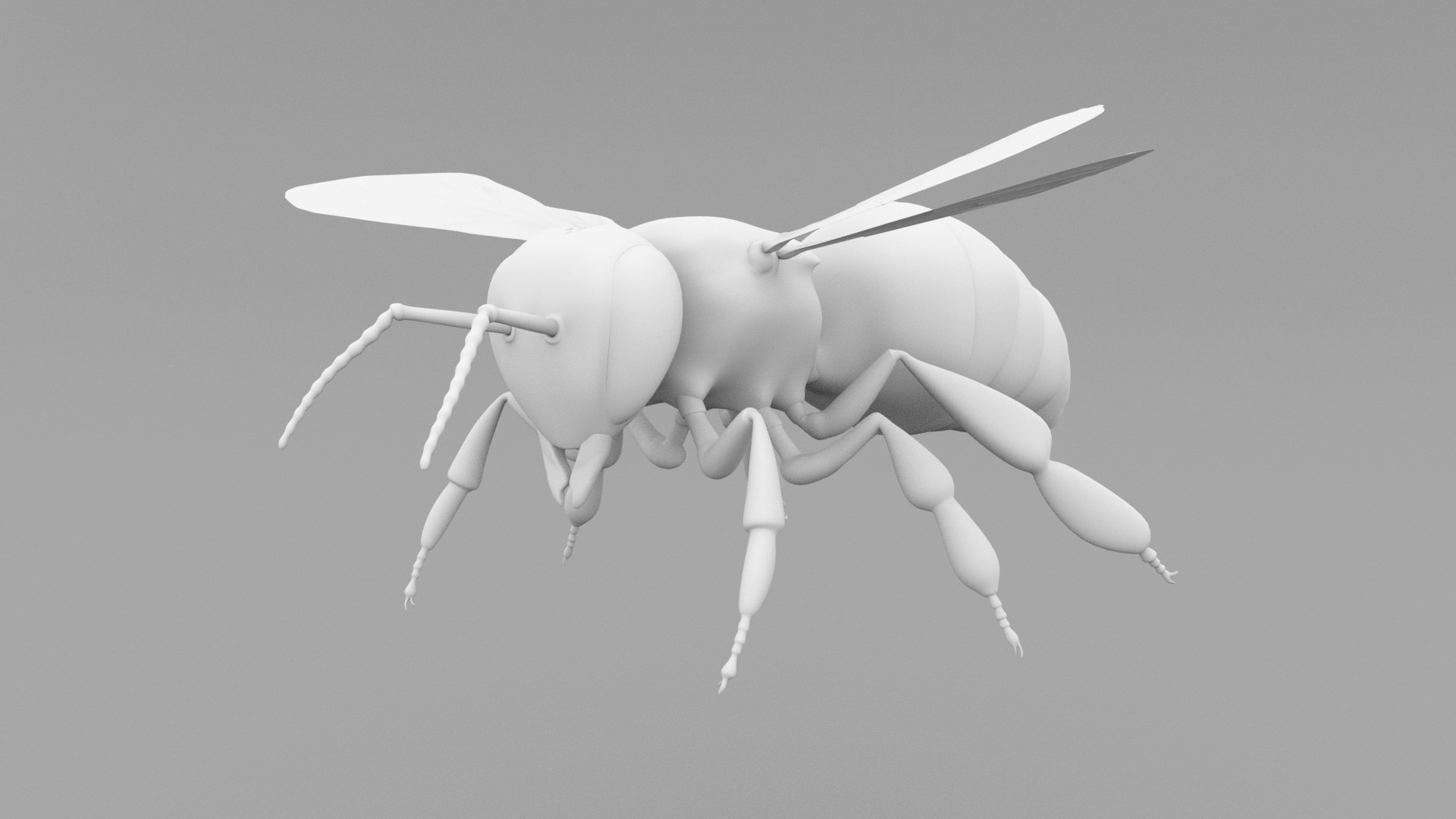 3D Realistic Bee - TurboSquid 2126675