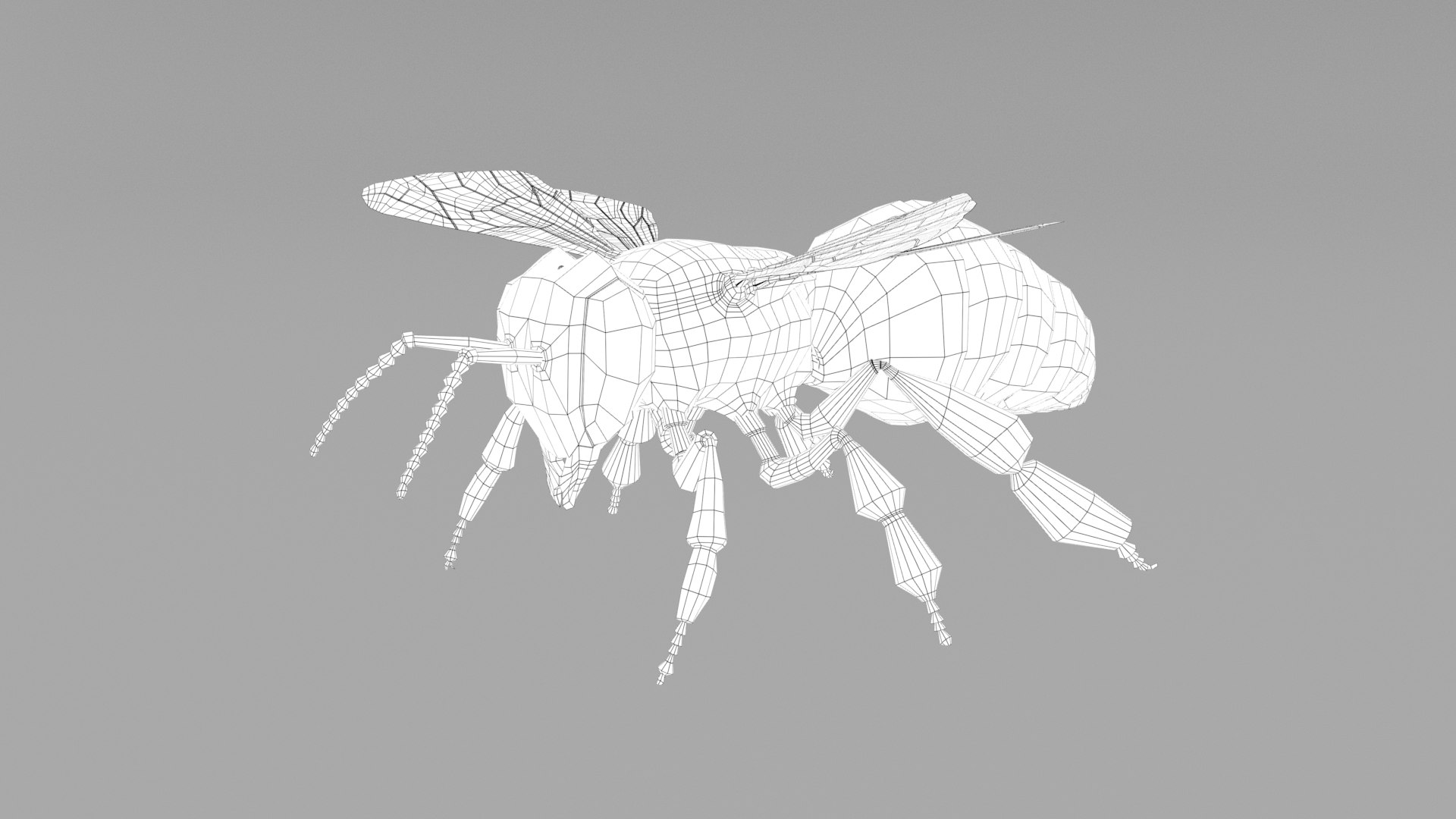 3D Realistic Bee - TurboSquid 2126675